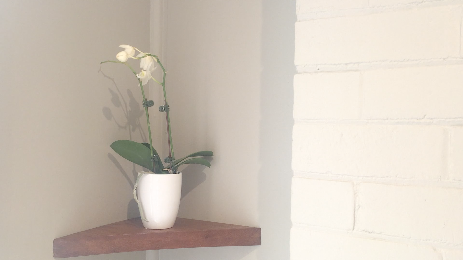 Custom Floating Corner Shelf : 7 Steps (with Pictures) - Instructables