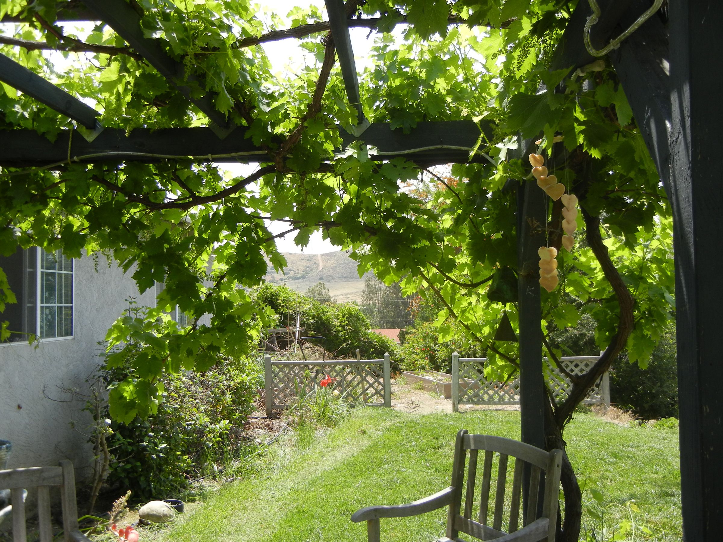 Grapevine Terrace - Instructables