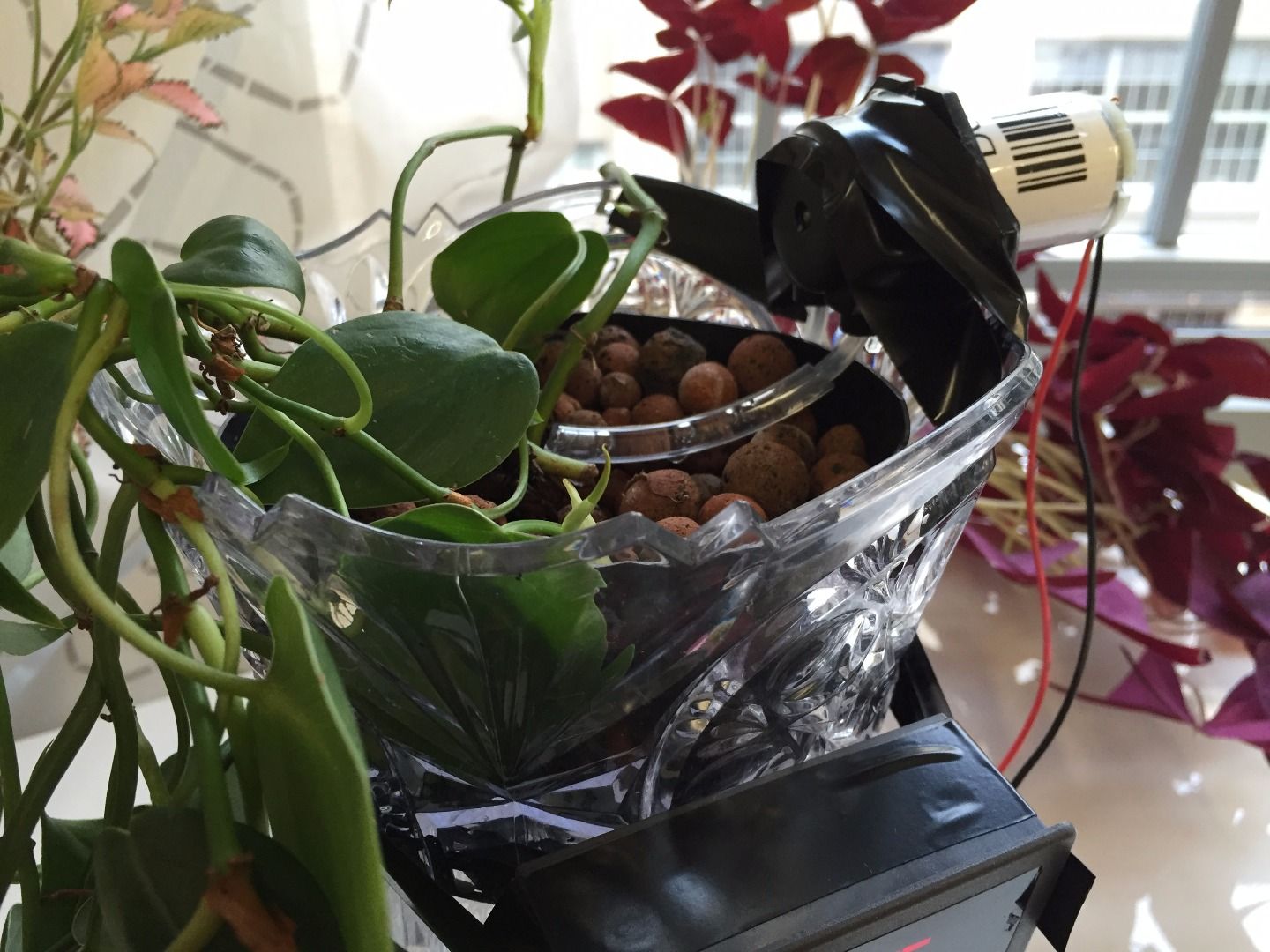 Retrofit Any Planter With Hydroponic Watering System : 8 Steps (with ...