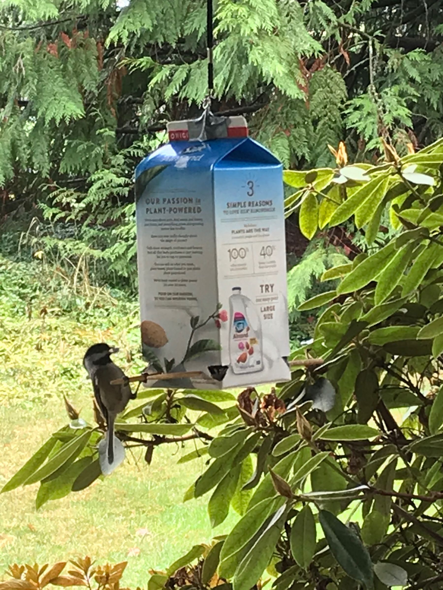 Easy Recycled Bird Feeder - Makes a Great Gift! : 4 Steps - Instructables