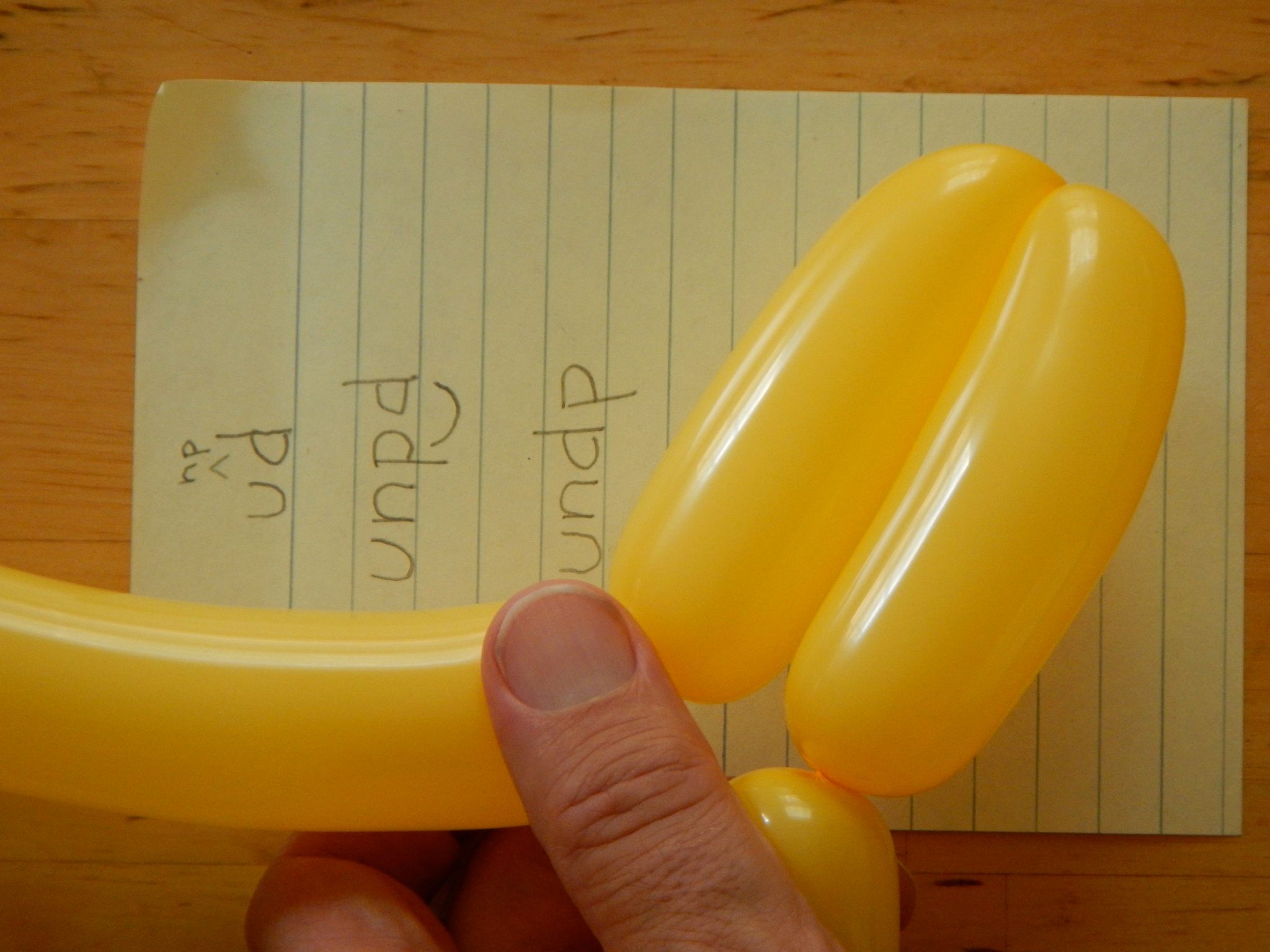 How to Evolve a Balloon Animal : 5 Steps (with Pictures) - Instructables