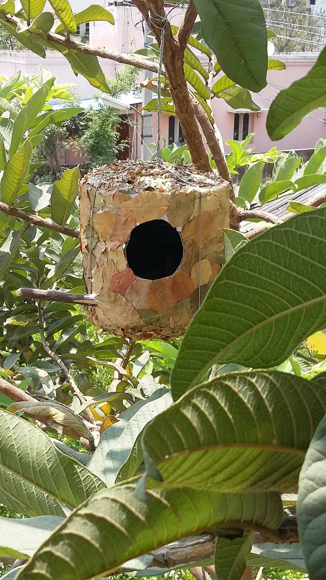 Cardboard Birds Nest Box : 12 Steps (with Pictures) - Instructables