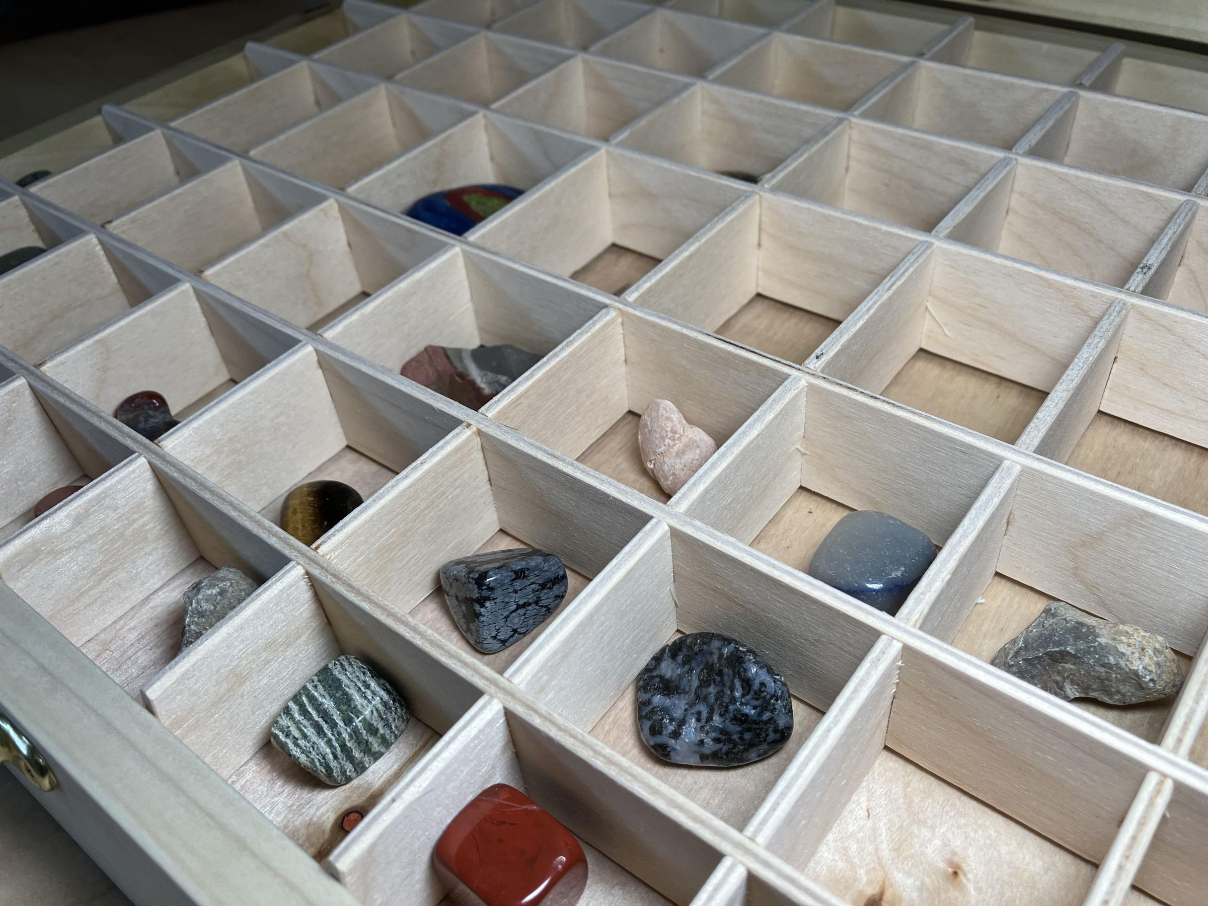 Specimen Box | Display Case : 6 Steps (with Pictures) - Instructables