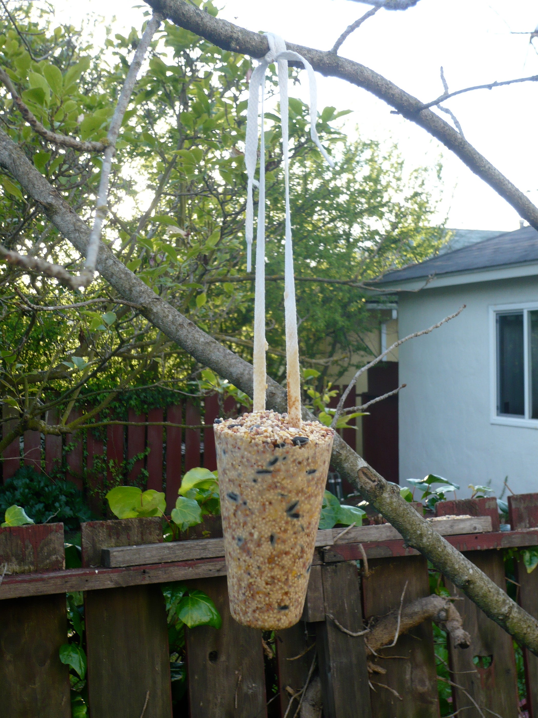 Black Bird Pie : 6 Steps (with Pictures) - Instructables