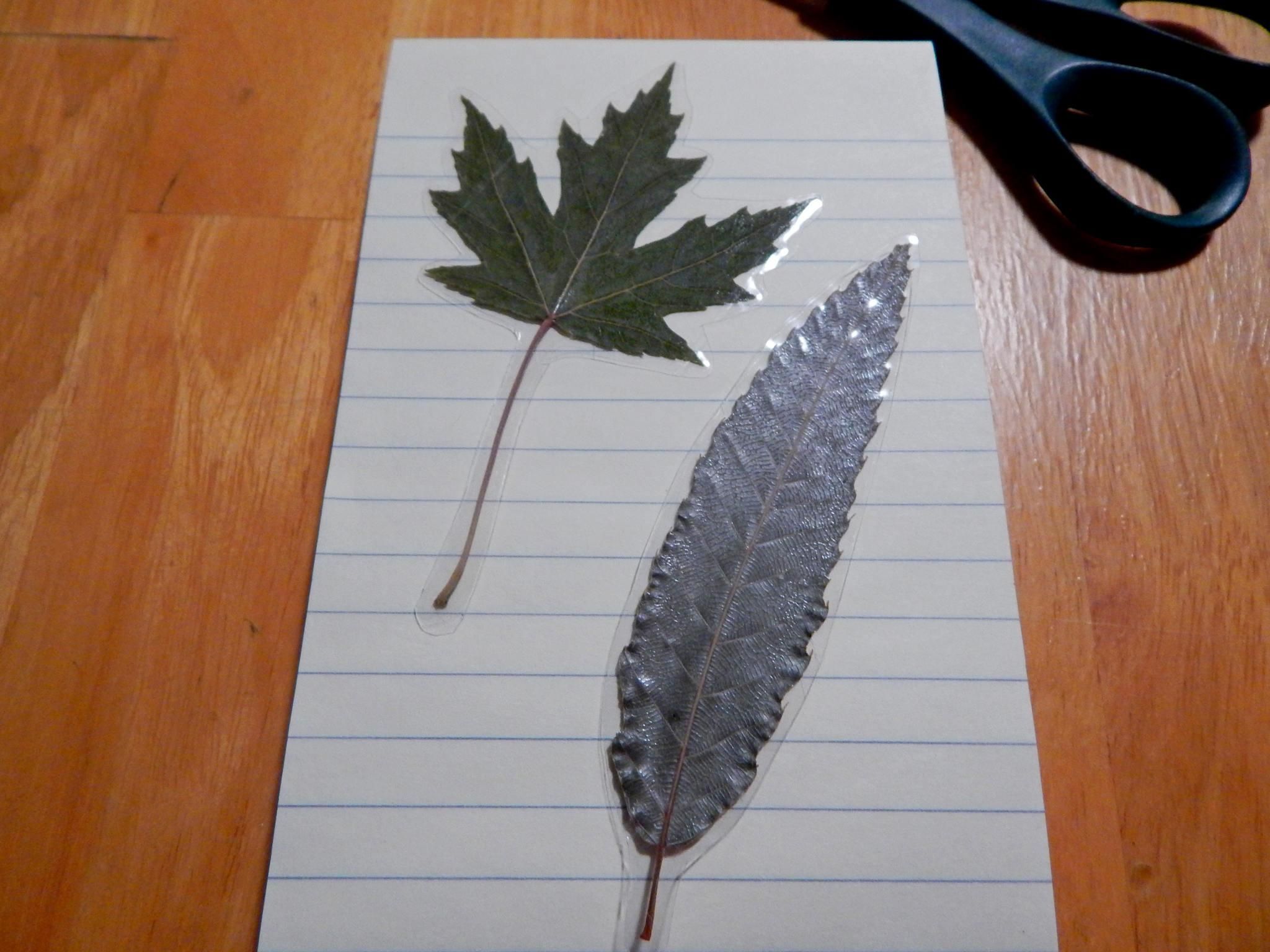DIY Laminated Leaf Bookmarks : 4 Steps (with Pictures) - Instructables