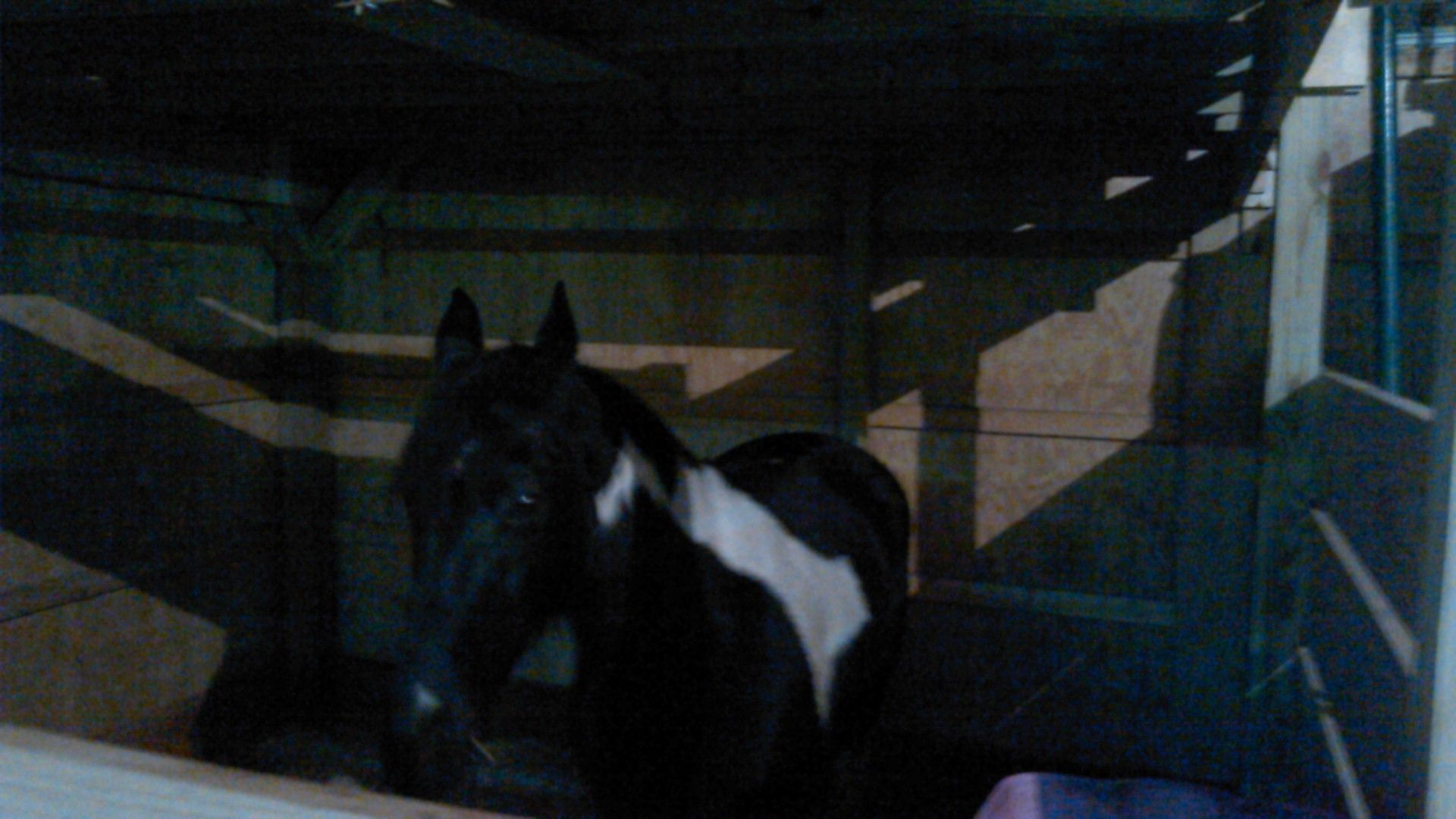 LED Horse Stall Light : 8 Steps (with Pictures) - Instructables