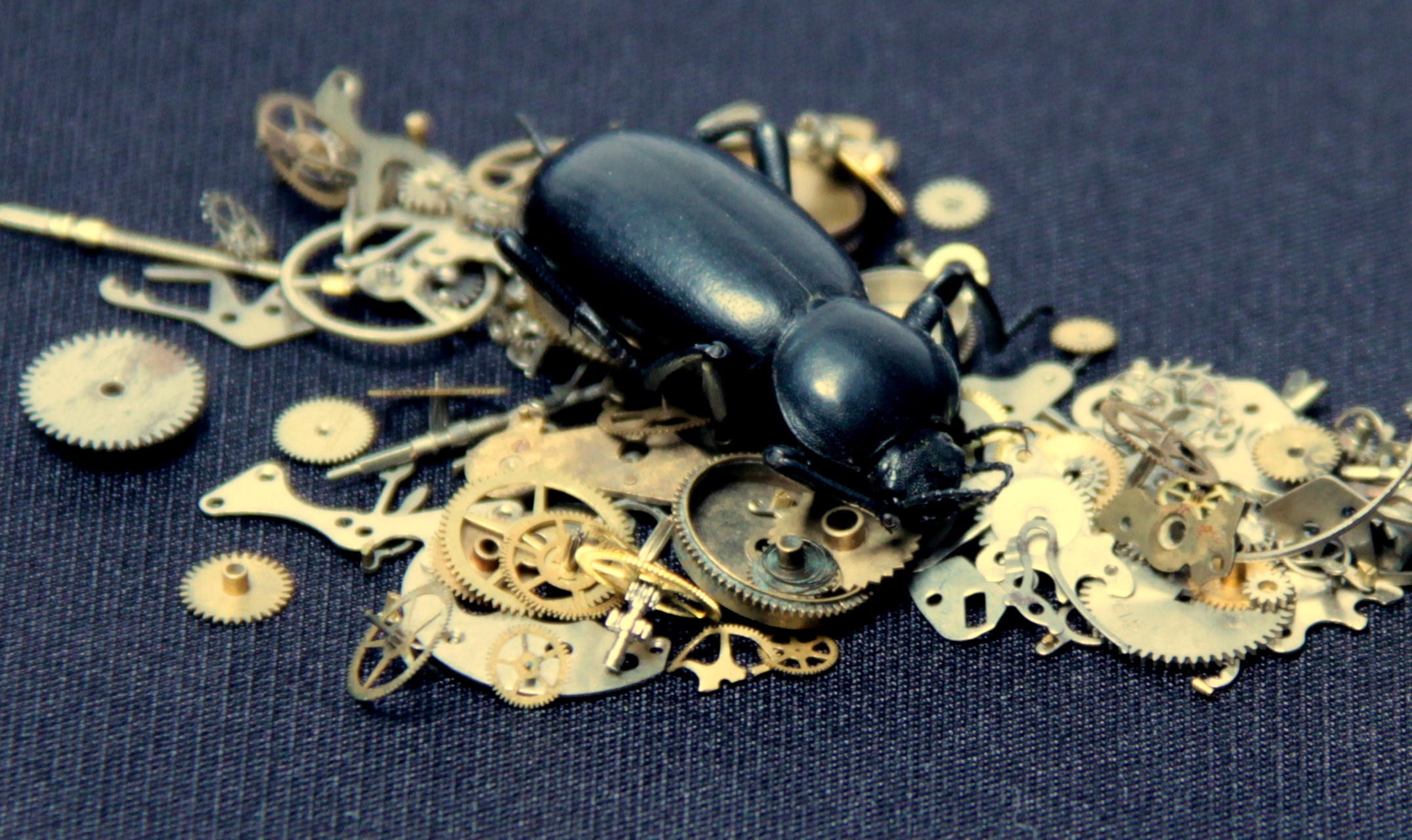 Clockwork Beetle : 6 Steps (with Pictures) - Instructables