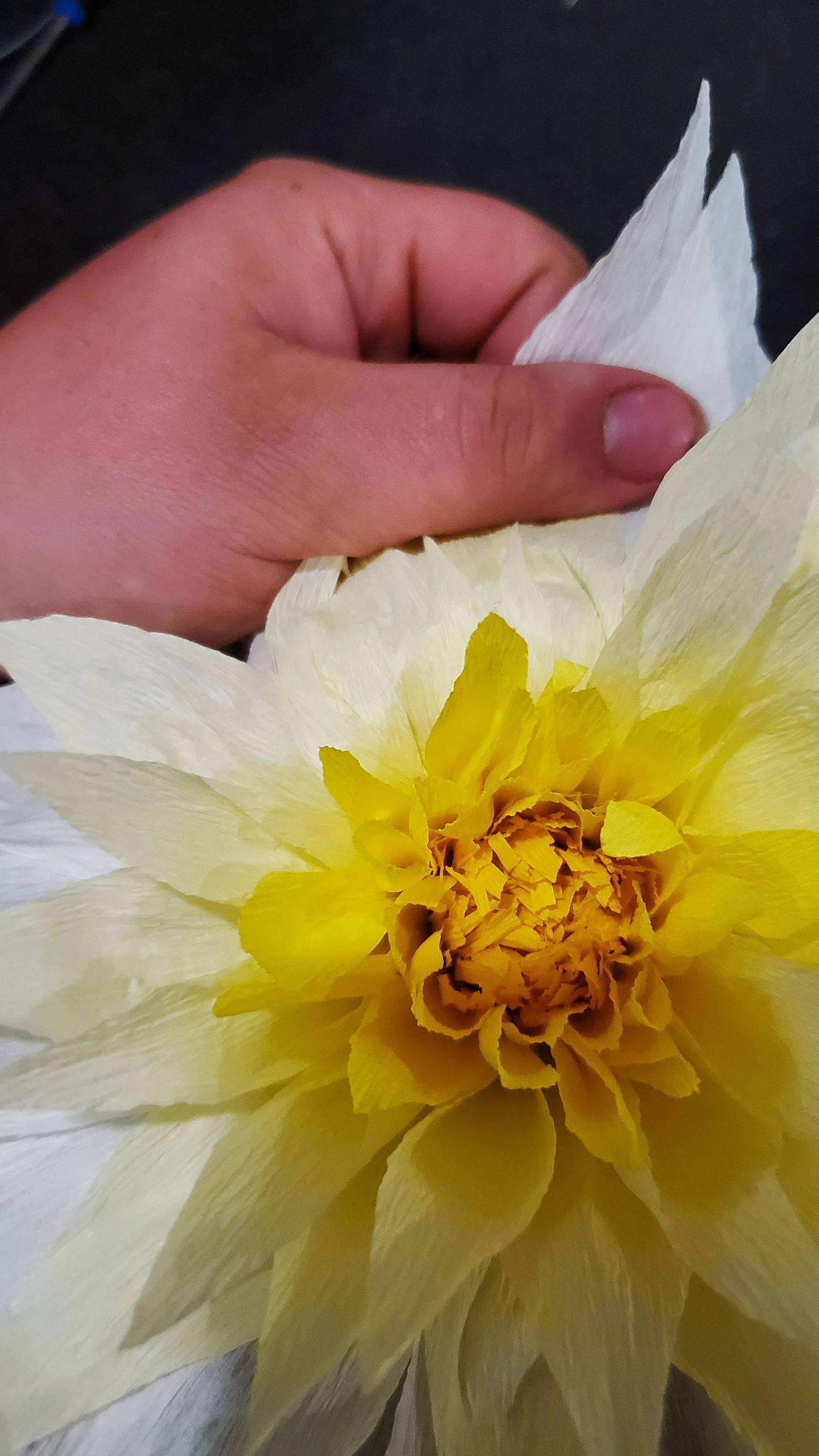 Crepe Paper Dahlia : 18 Steps (with Pictures) - Instructables