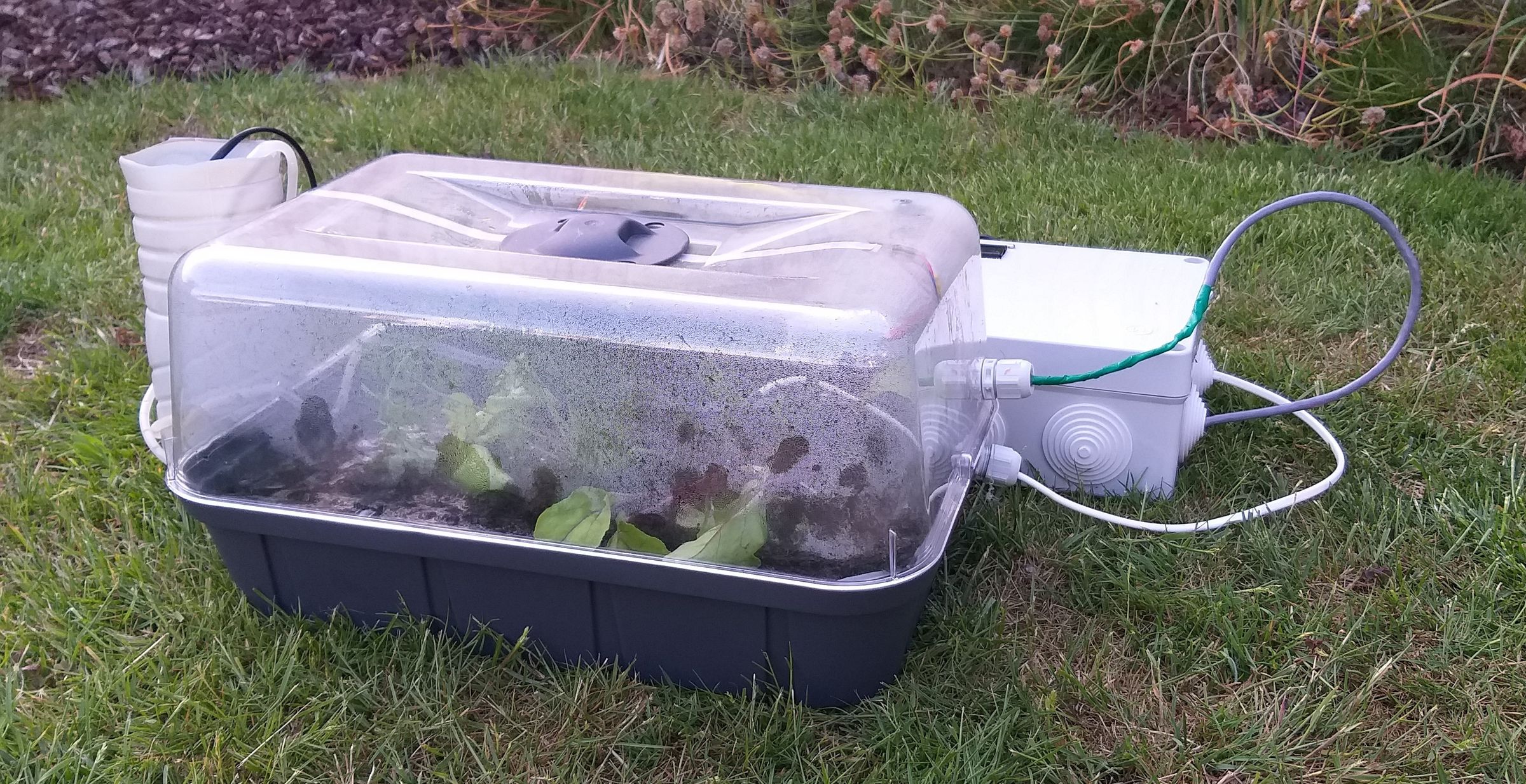 Automated Plant Pot - Little Garden : 13 Steps (with Pictures ...