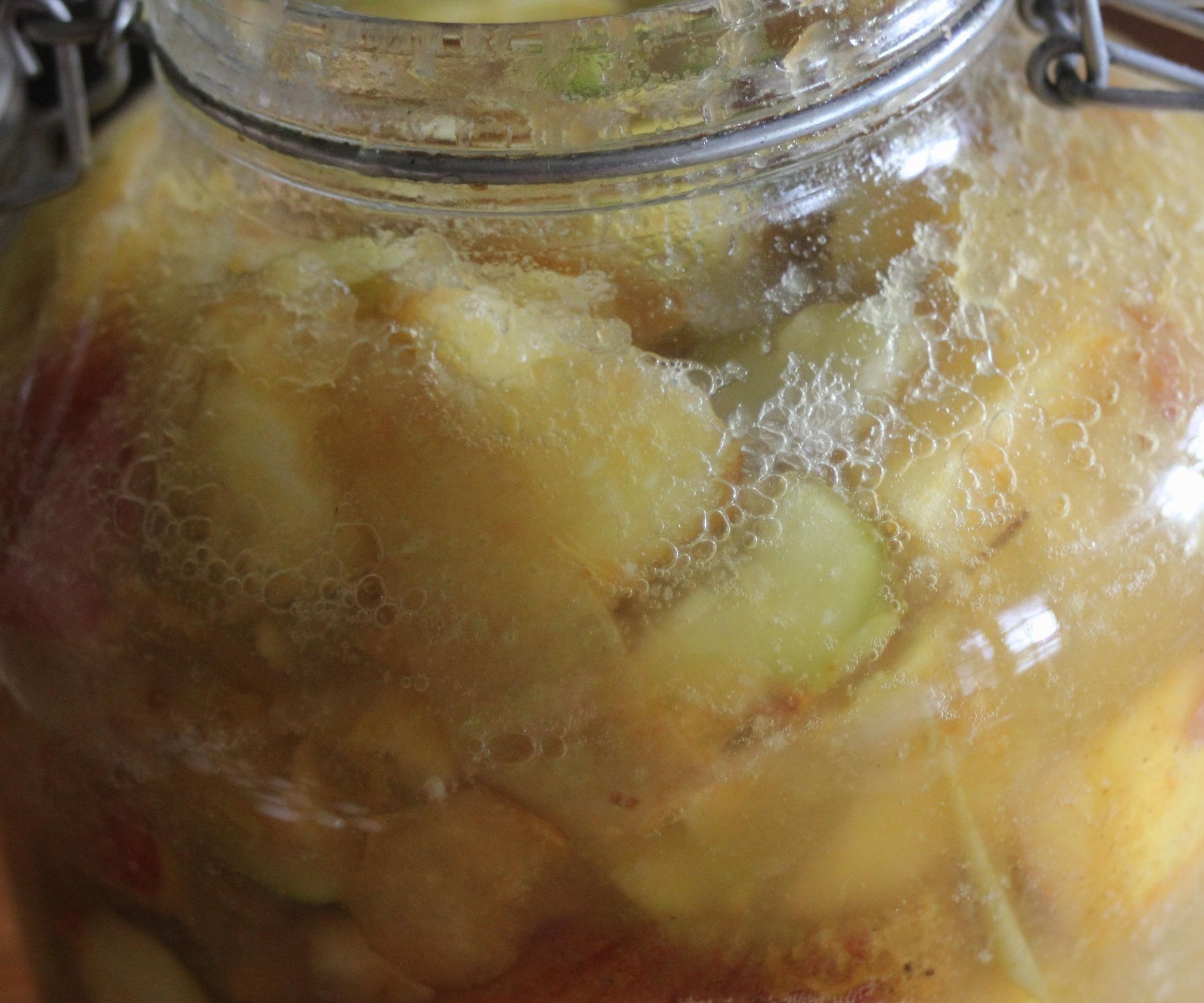 Two Ways to Make Organic Apple Cider Vinegar in a Mason Jar : 3 Steps ...