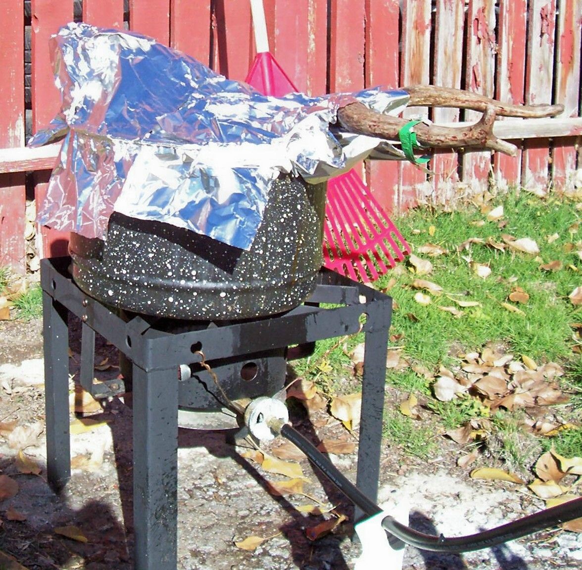 Taxidermy Skull Preparation : 5 Steps - Instructables