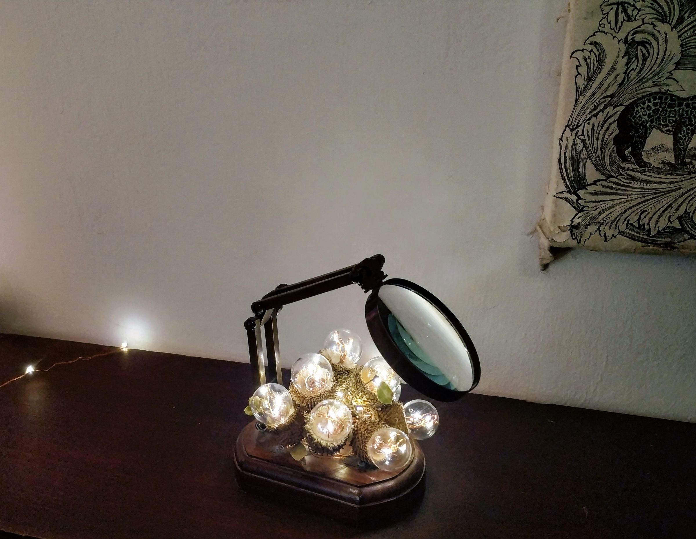 Tiny Acorn Light Bulbs!!! : 3 Steps (with Pictures) - Instructables