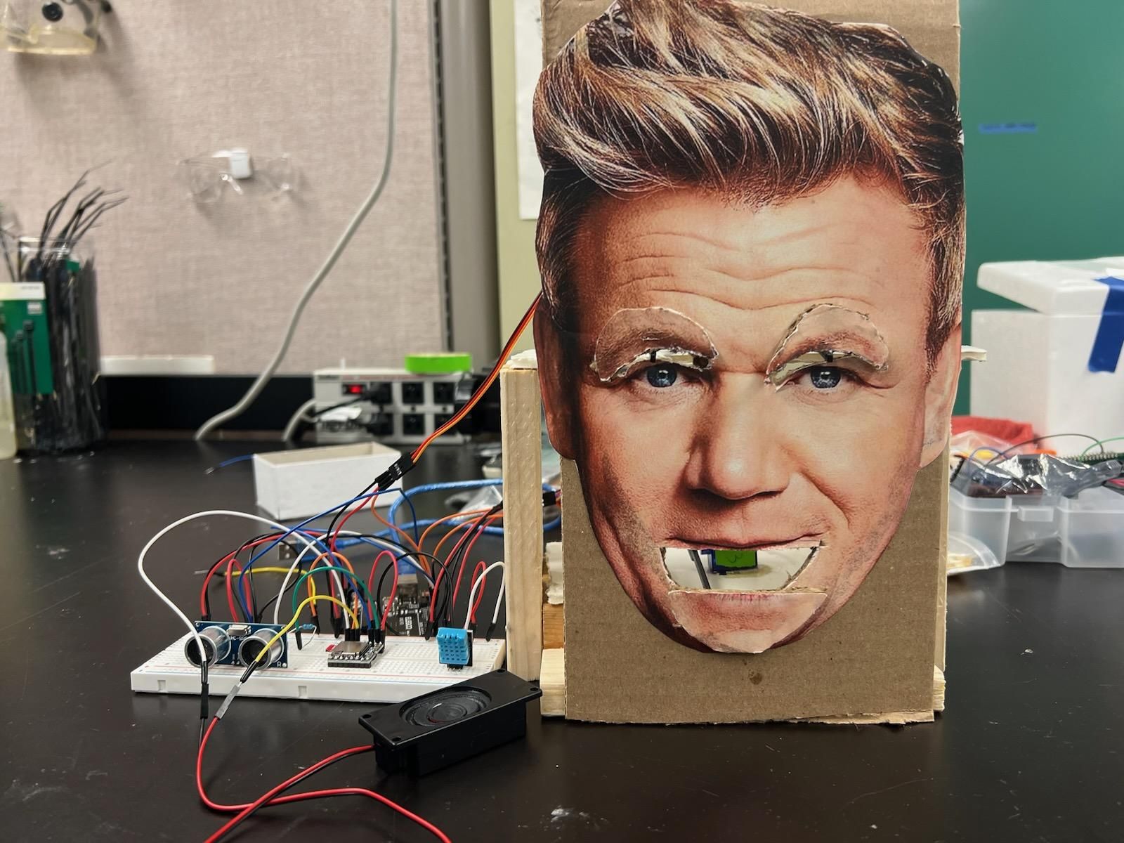 Gordon Ramsay Mechatronics Face : 8 Steps - Instructables