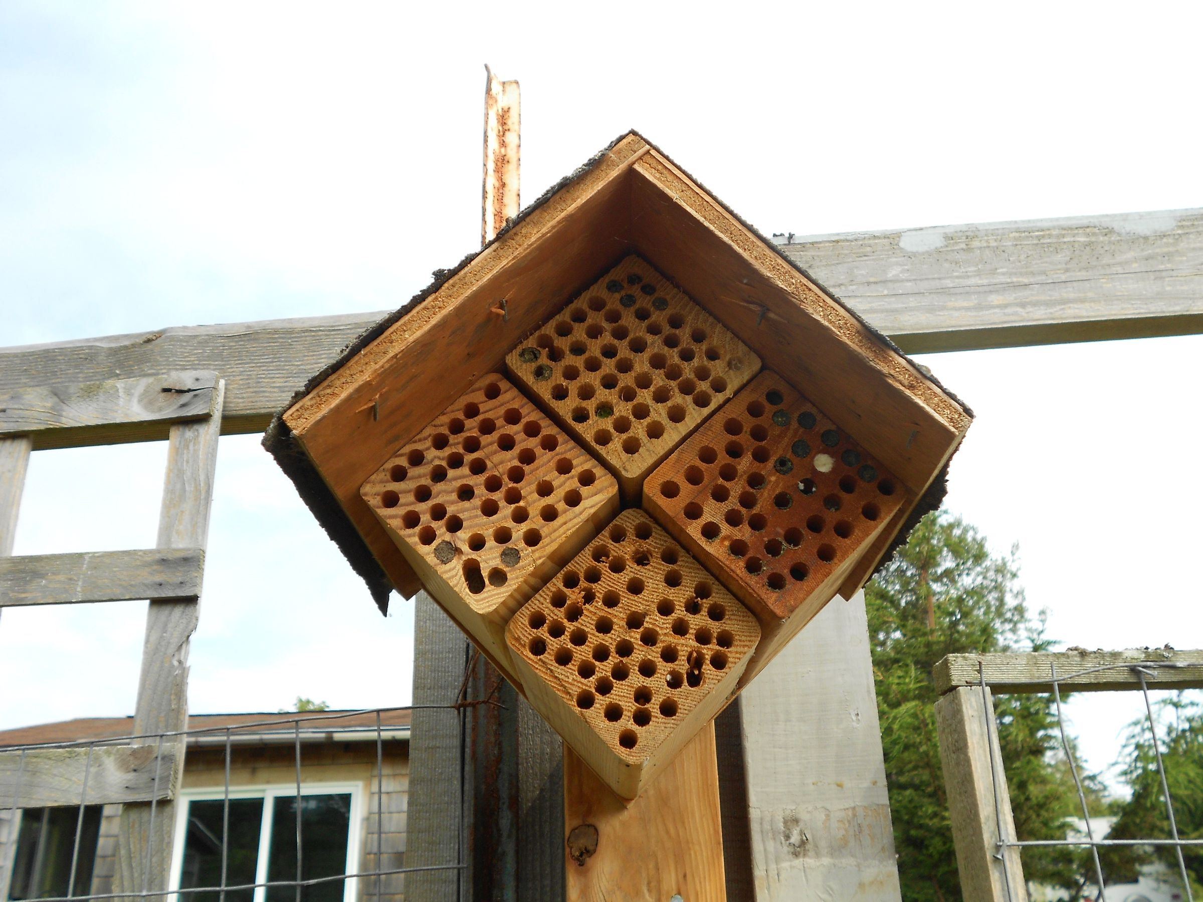 Make Your Own Little Bee Houses : 8 Steps (with Pictures) - Instructables