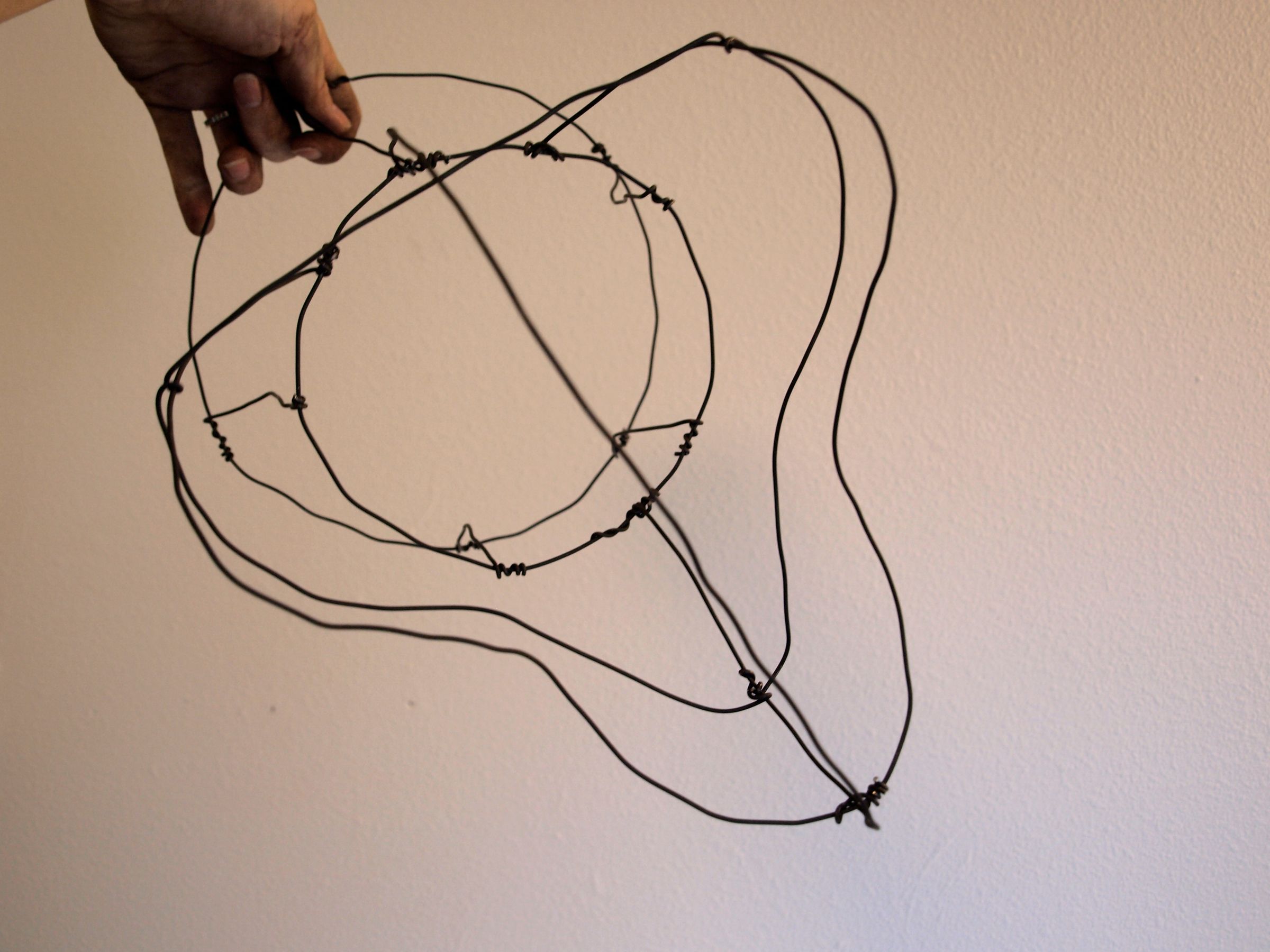 DIY Wire Faux Taxidermy : 7 Steps (with Pictures) - Instructables