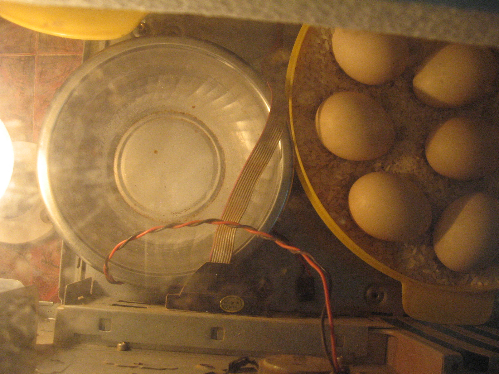Home-made Incubator From Reclaimed Desktop Computer Case : 8 Steps ...
