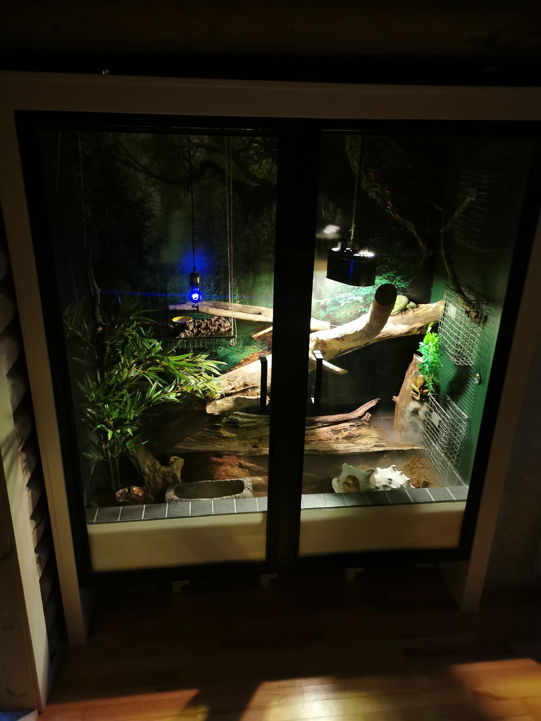 Vivarium for a Reptile : 12 Steps (with Pictures) - Instructables