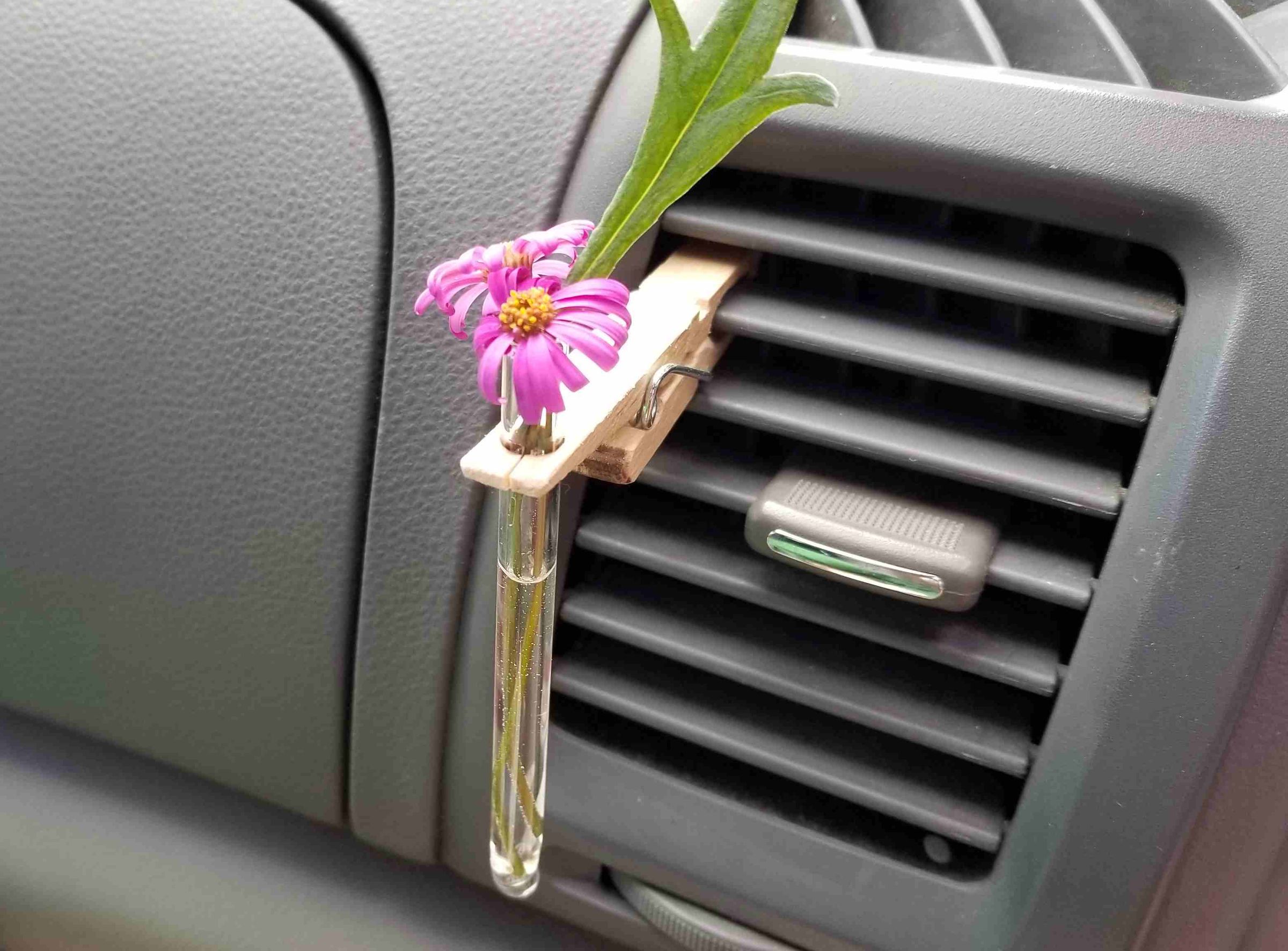 Portable Flower Power : 4 Steps (with Pictures) - Instructables