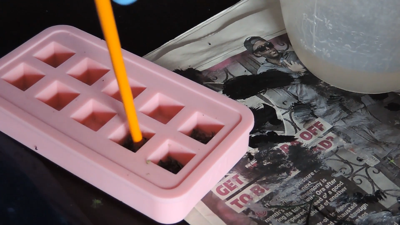 Realistic Minecraft Grass Blocks! : 4 Steps (with Pictures) - Instructables