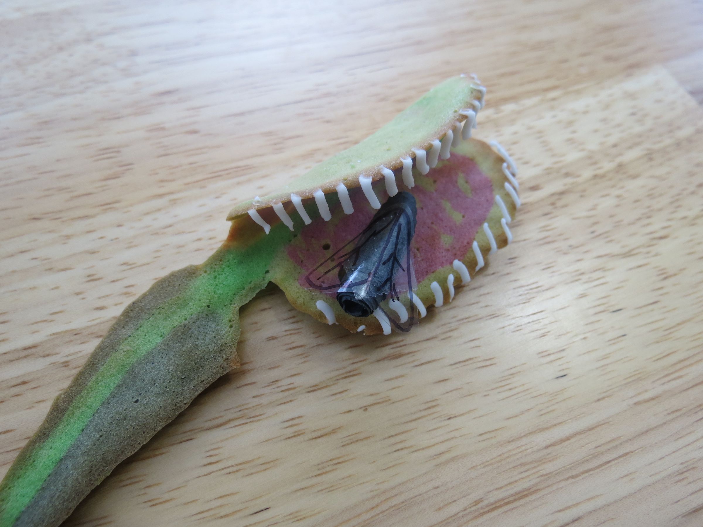 Venus Fly Trap MisFortune Cookies : 7 Steps (with Pictures) - Instructables