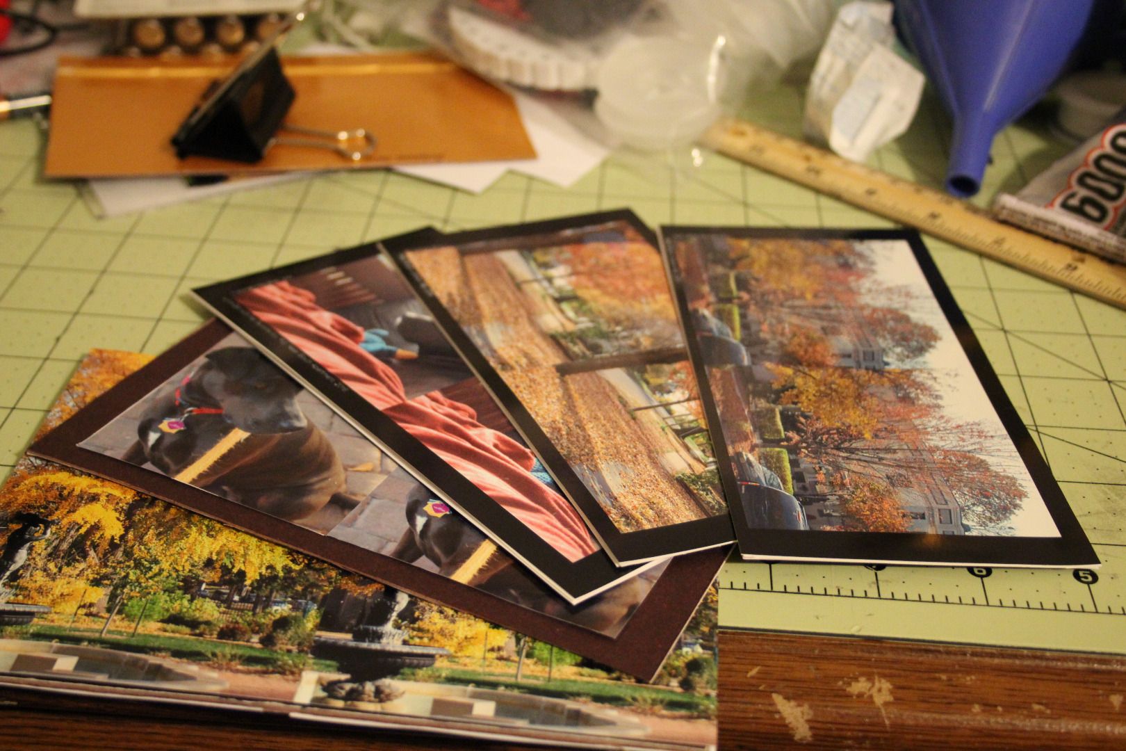 DIY Stero Card / Steroscopic Slides (3-D Photos!) : 6 Steps (with ...