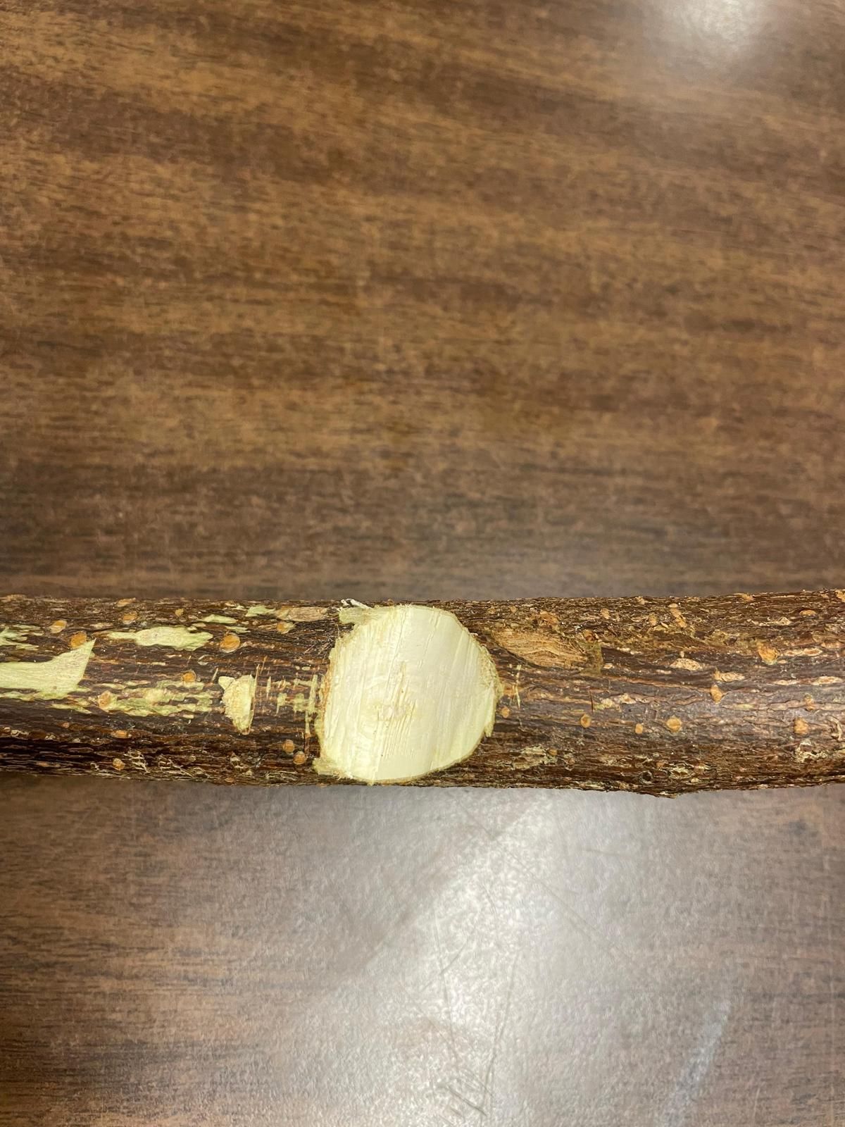 Campfire Billy Holder : 5 Steps - Instructables