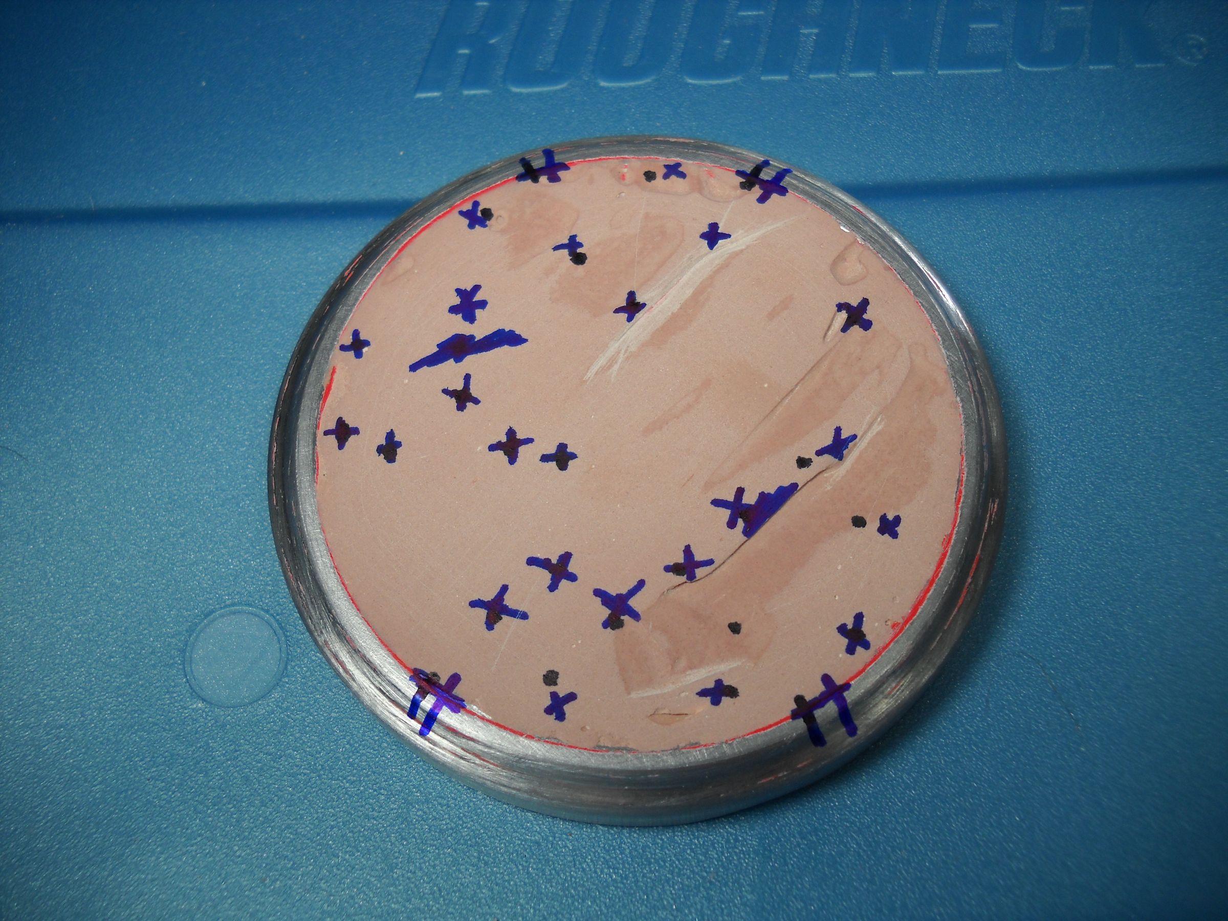 How to Make a Wire Octopus Sculpture (simplified). Cheap and Easy But ...