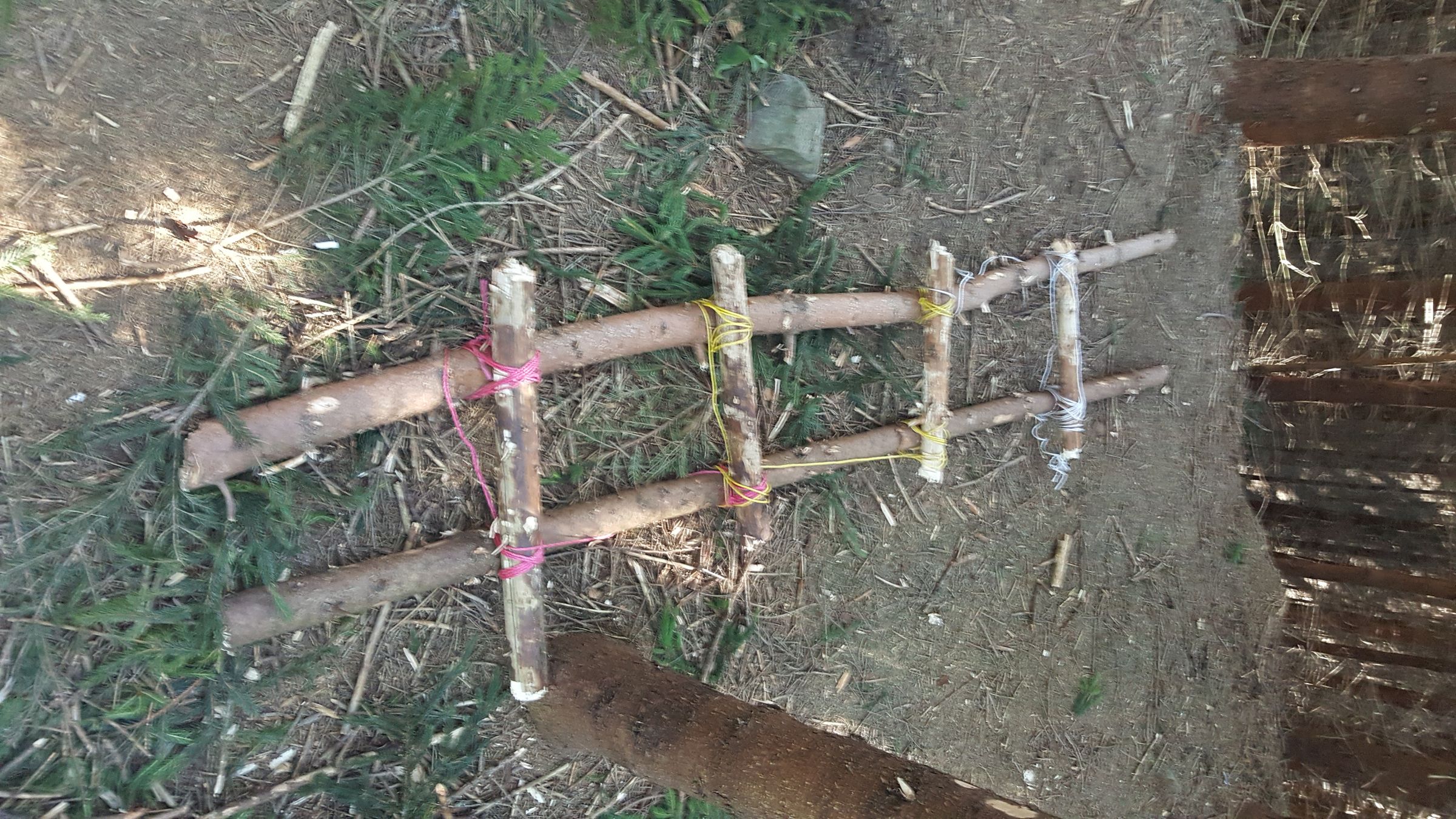 Tree Platform : 5 Steps (with Pictures) - Instructables