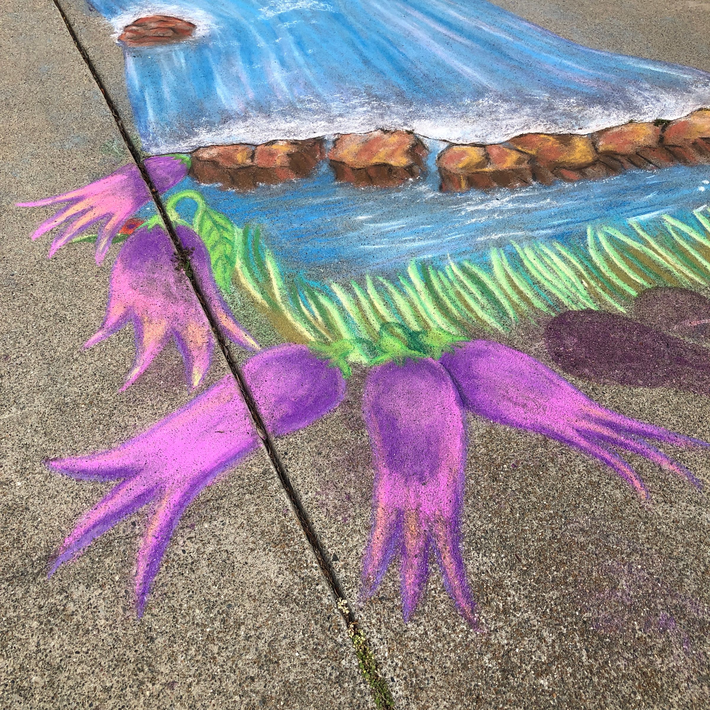 Amazing Sidewalk Chalk Art : 38 Steps (with Pictures) - Instructables