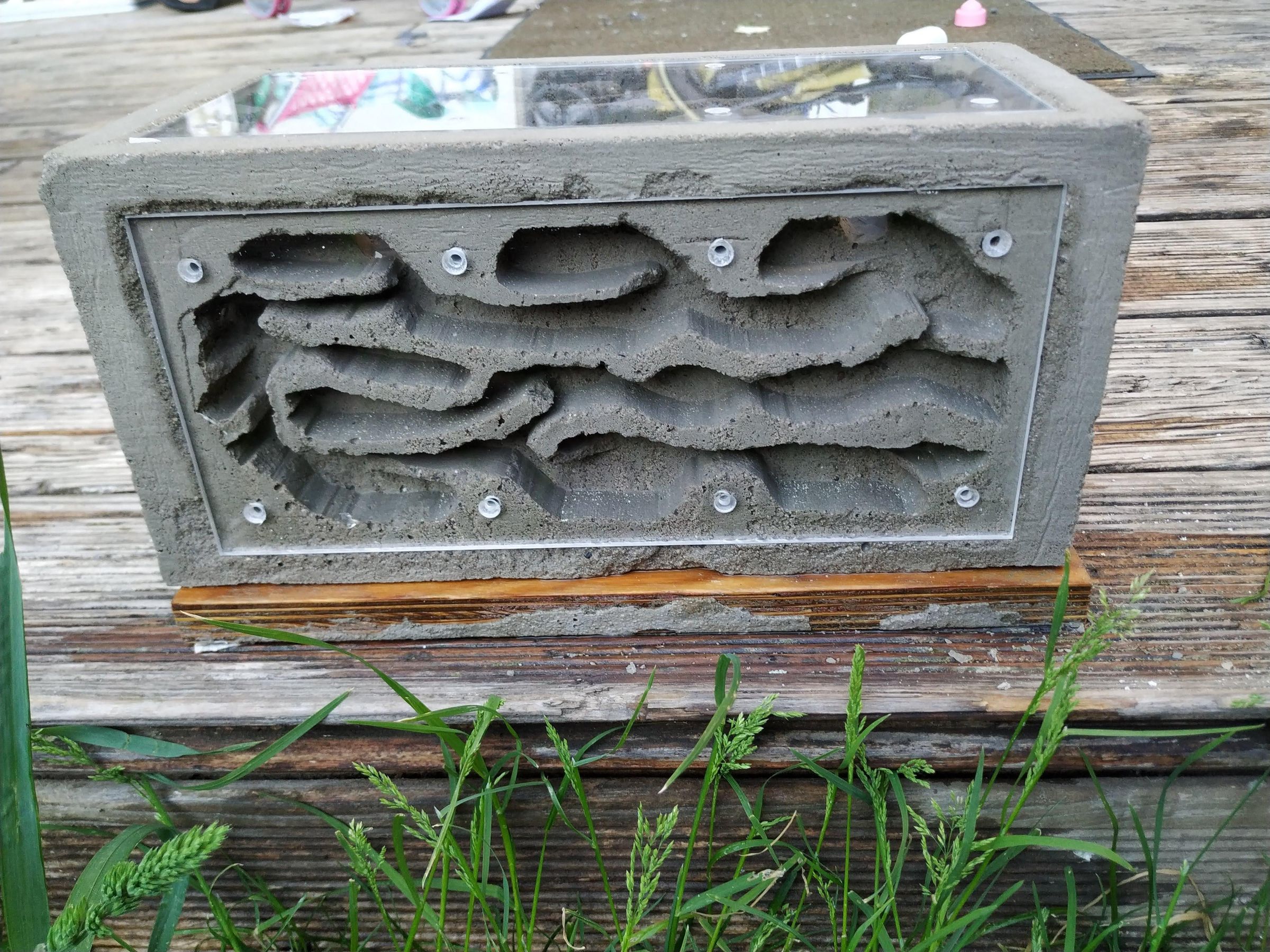 Concrete Ants Nest : 4 Steps (with Pictures) - Instructables