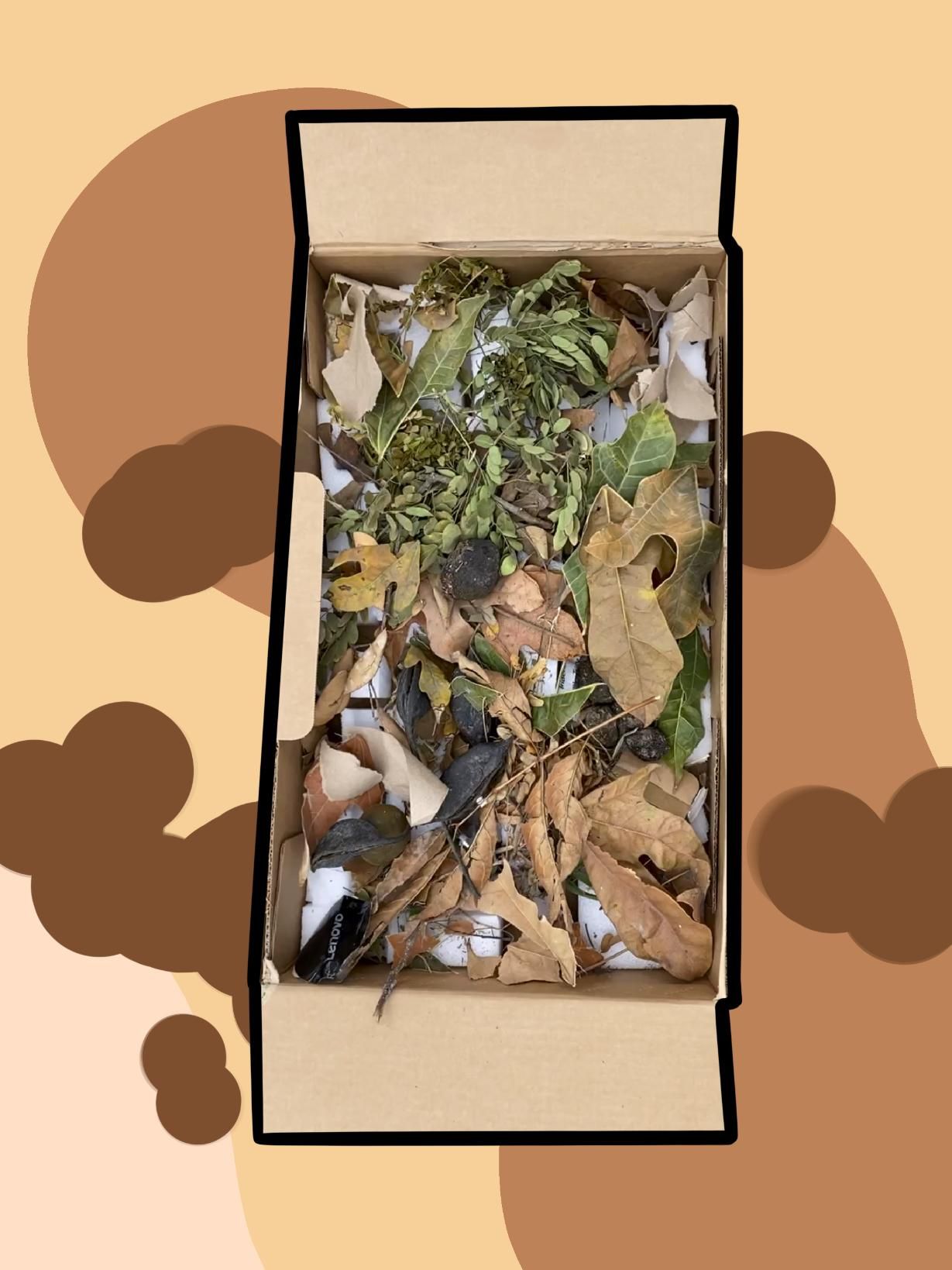 Compostera Casera : 10 Steps - Instructables