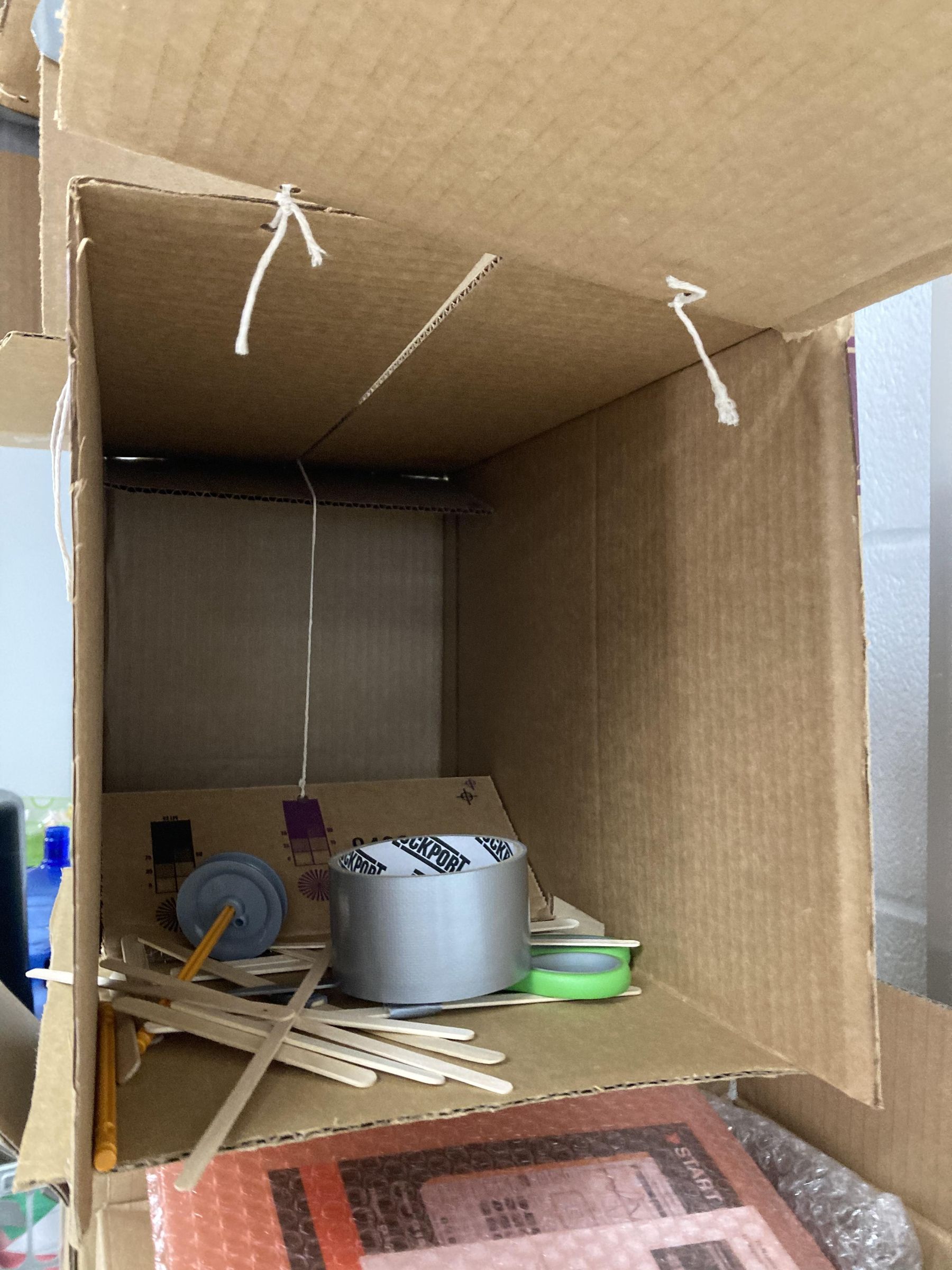 Bunny Trap : 6 Steps - Instructables