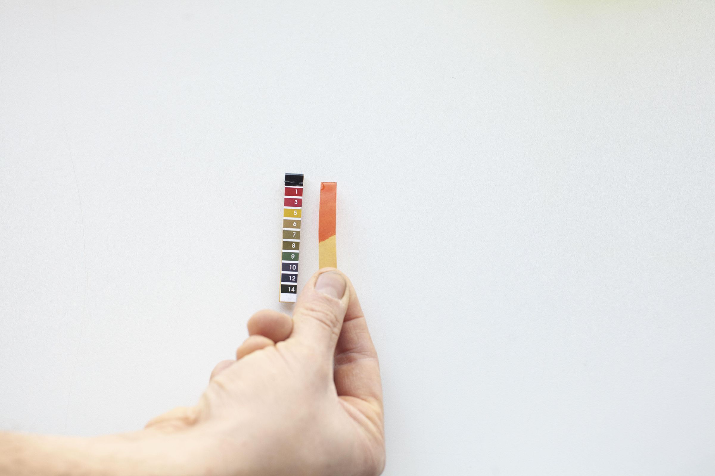 Goldenrod Paper Chemistry Painting : 4 Steps (with Pictures ...