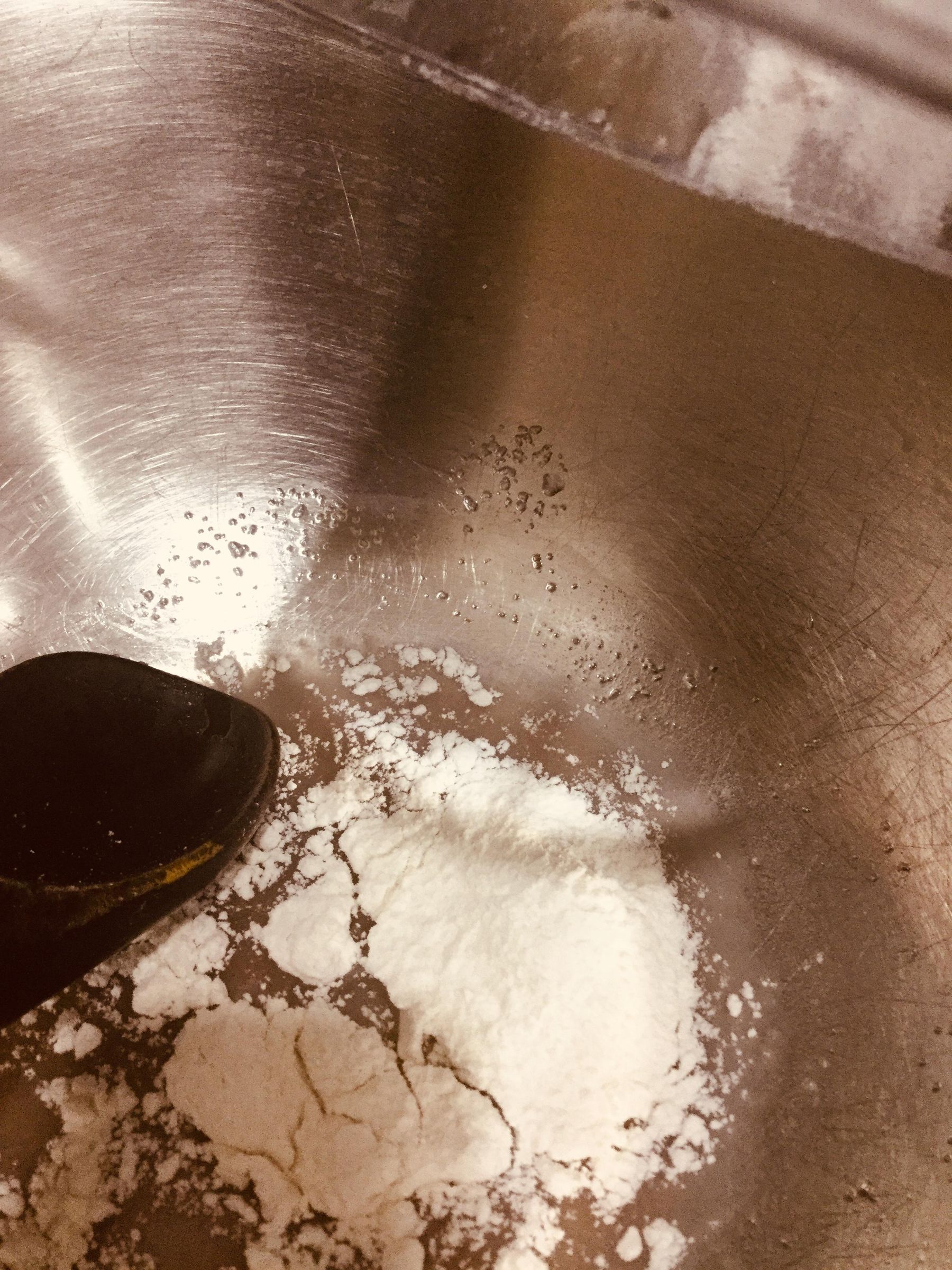 Marine Ecosystem Model With Candy! : 30 Steps - Instructables