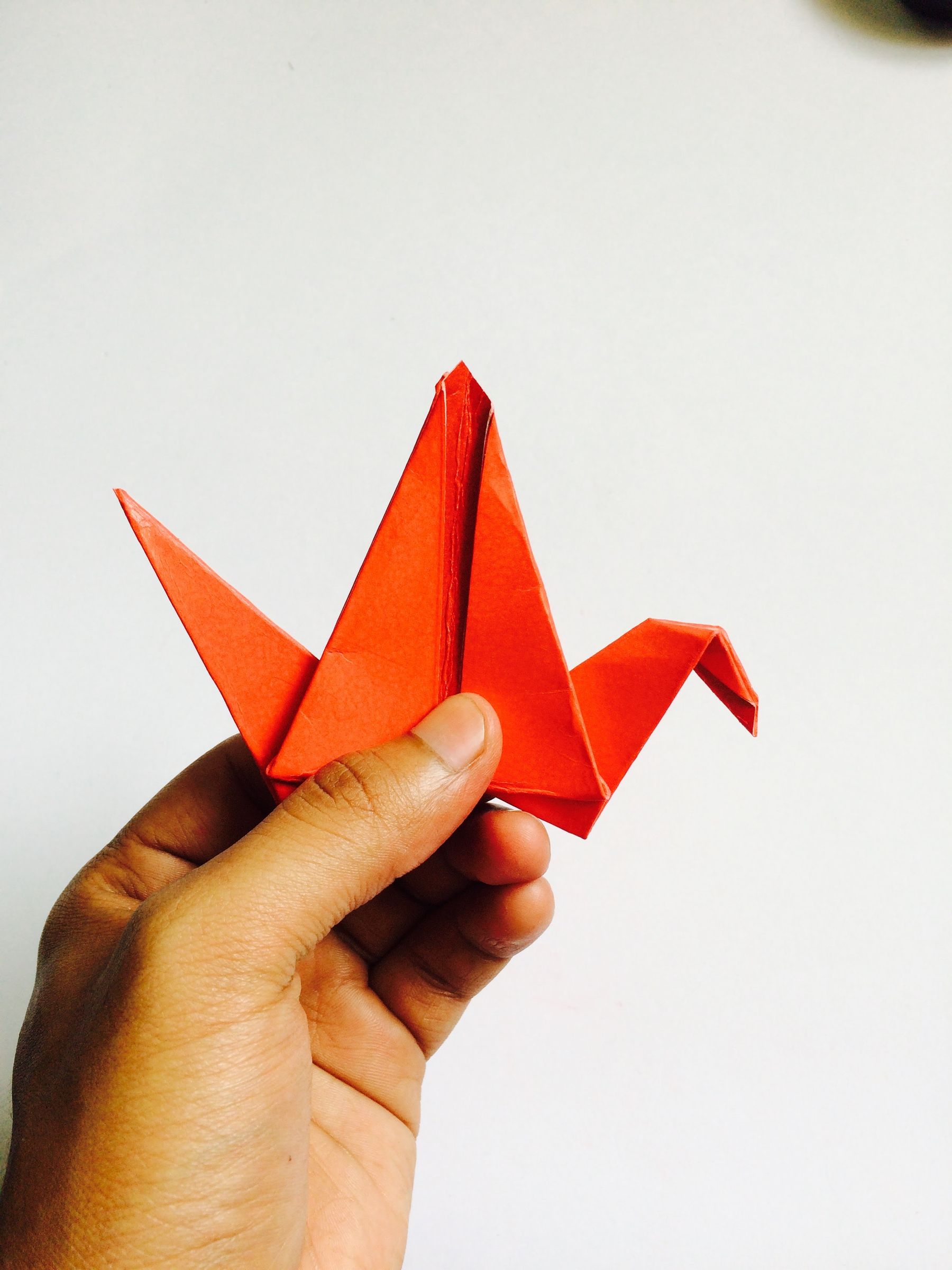 DIY: Flapping Bird : 6 Steps (with Pictures) - Instructables