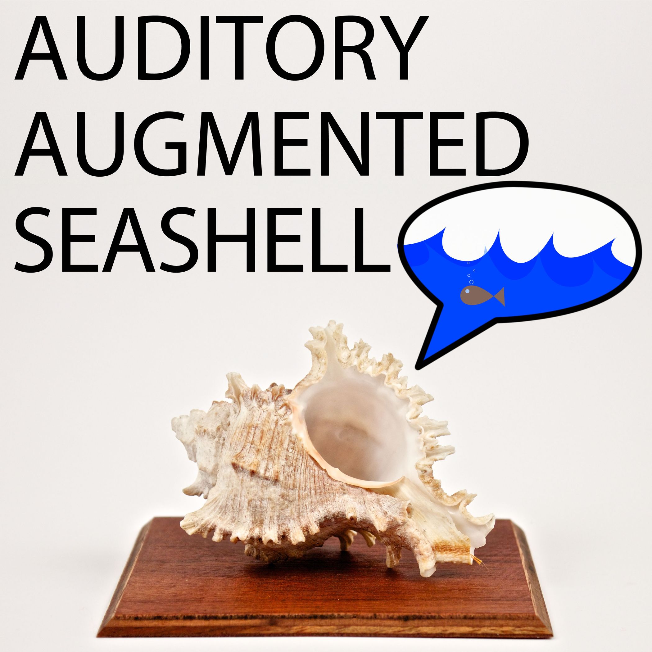 Build Your Own Auditory Augmented Seashell! : 3 Steps (with Pictures ...