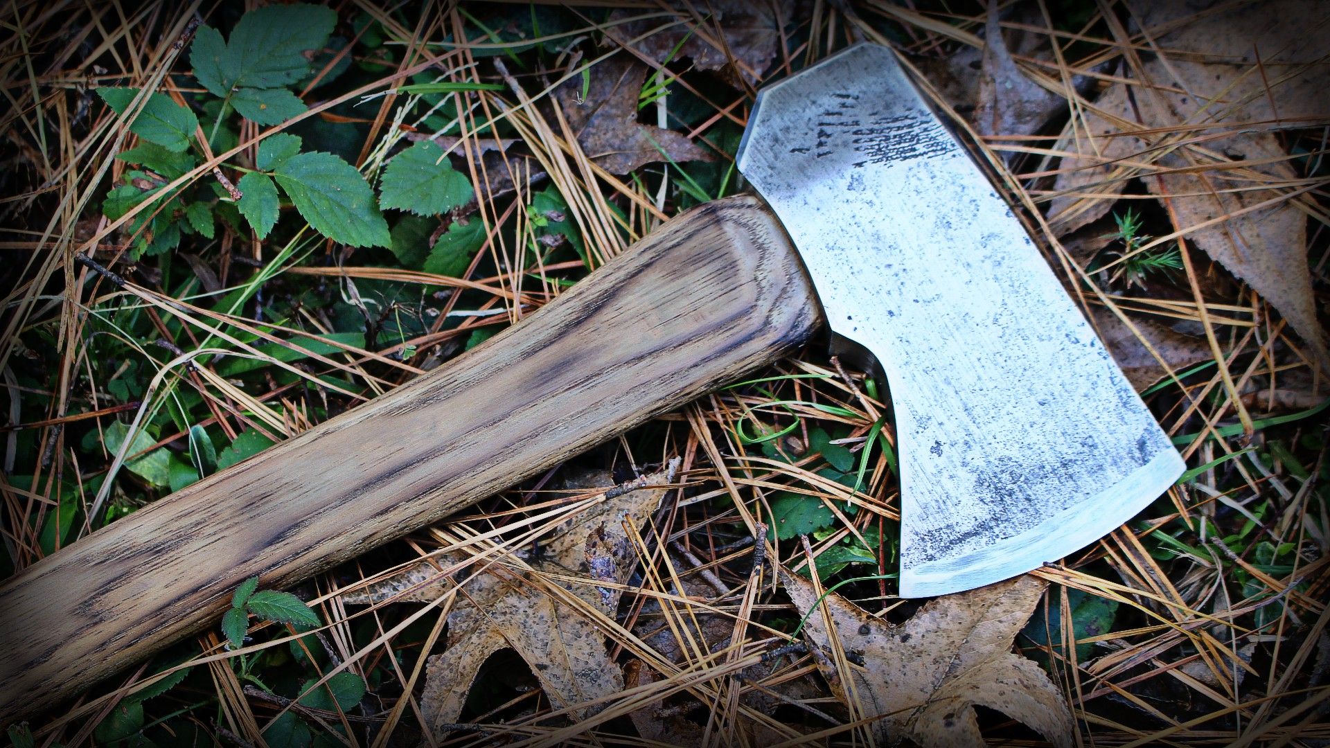 Hatchet Restoring (Viking-ish) : 11 Steps (with Pictures) - Instructables