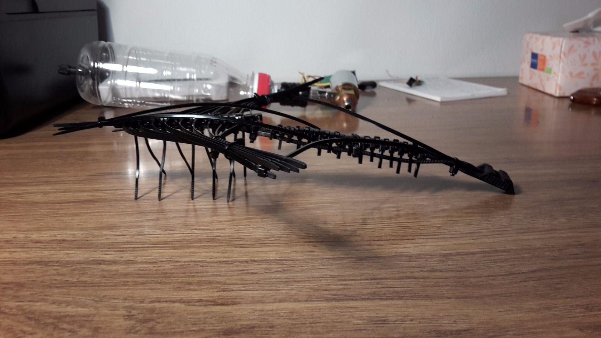 Strange Random Insect [SRI] : 4 Steps (with Pictures) - Instructables