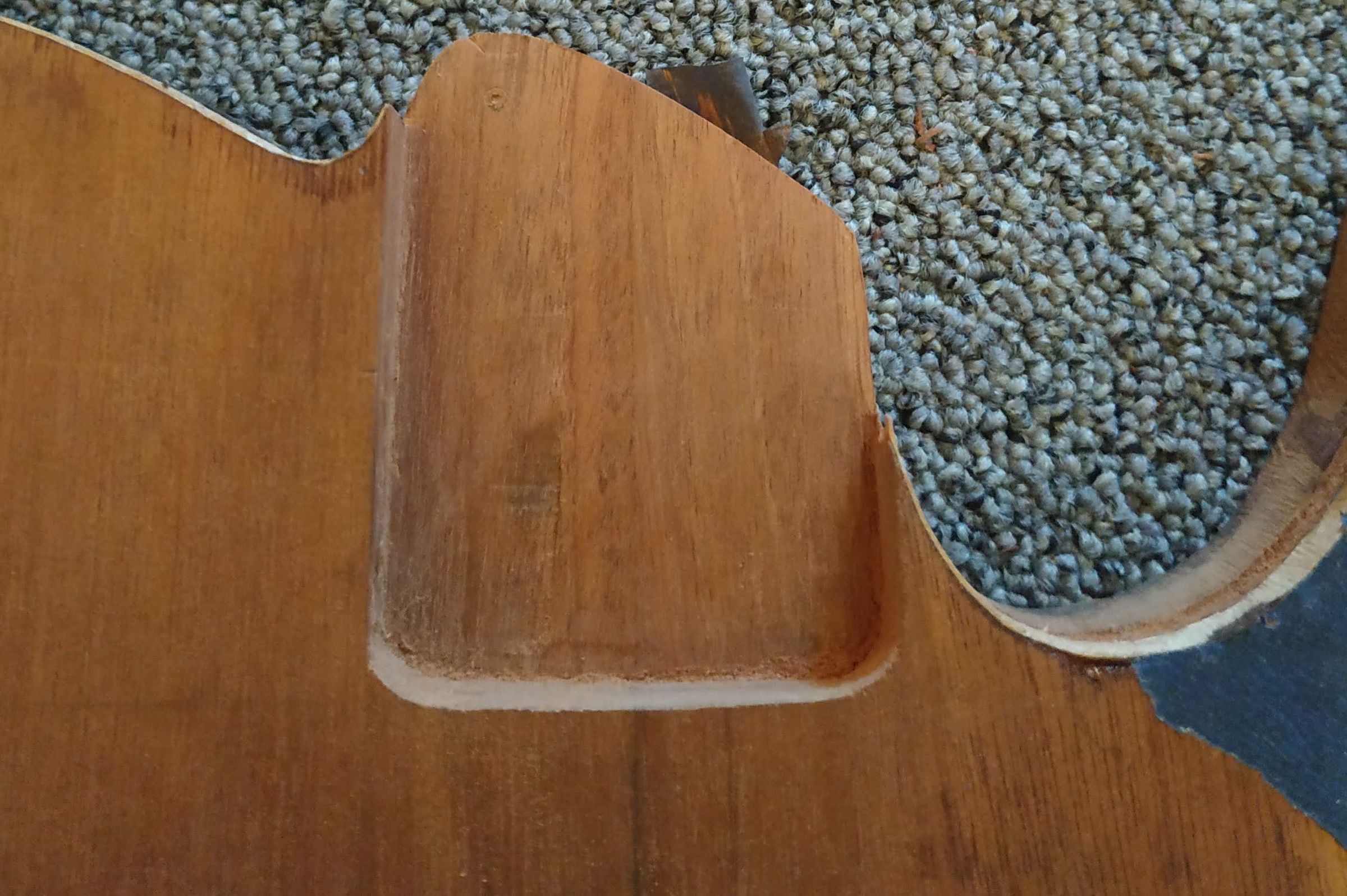 Building a Guitar: Telecaster Thinline : 12 Steps (with Pictures ...