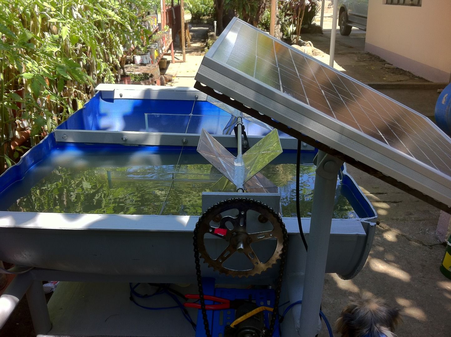 Standalone Solar Powered Algae Cultivation : 9 Steps (with Pictures ...