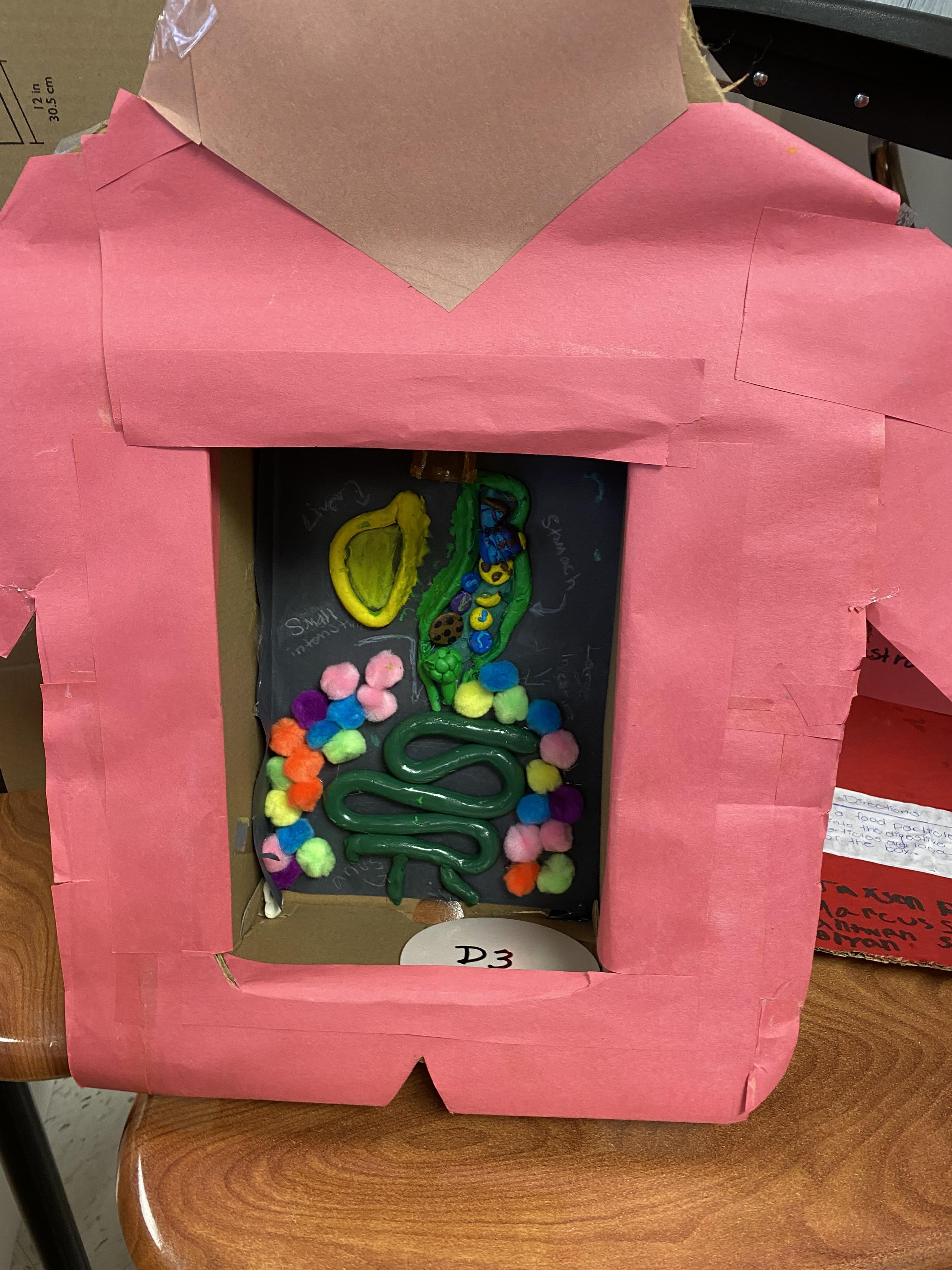 Human Body Museum PBL Unit Plan : 5 Steps (with Pictures) - Instructables