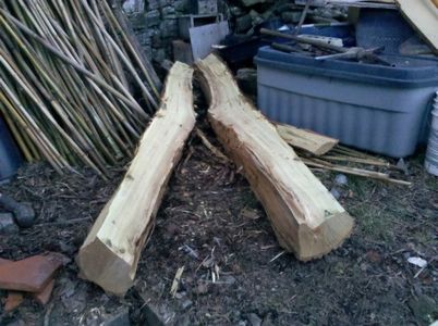 Splitting Black Locust Logs With Wedges : 7 Steps (with Pictures ...