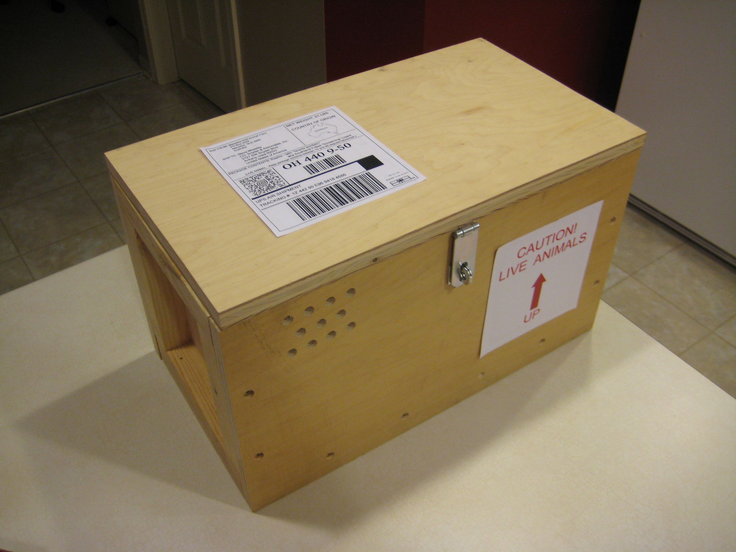 April Fools Screaming Lizard Shipping Container : 10 Steps (with ...