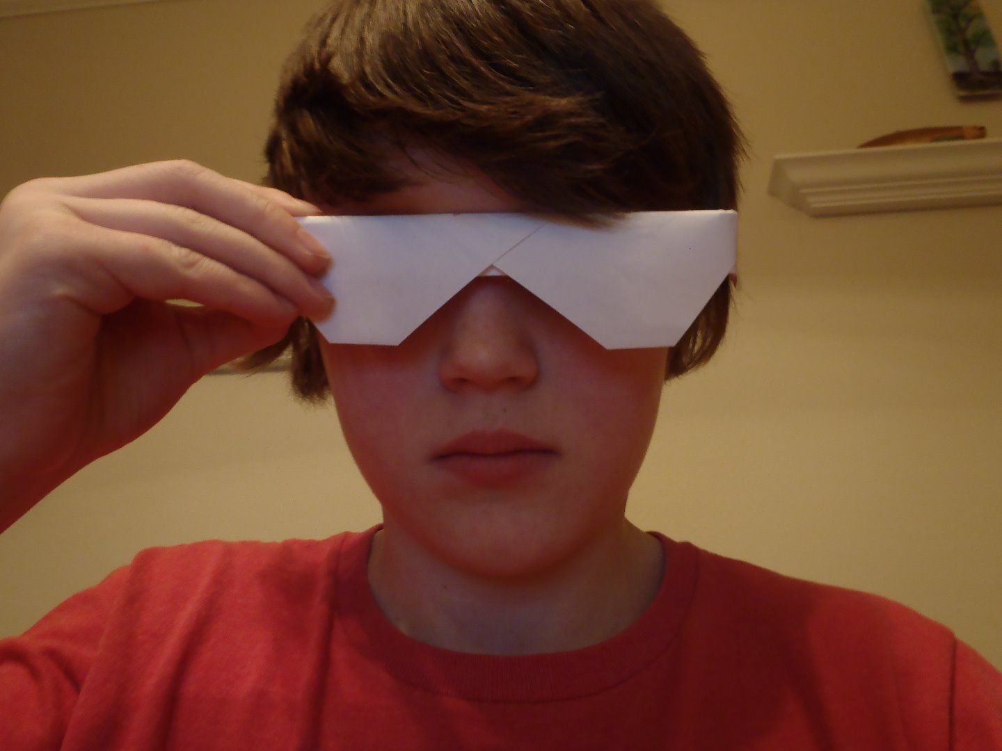 Origami Sunglasses : 5 Steps - Instructables