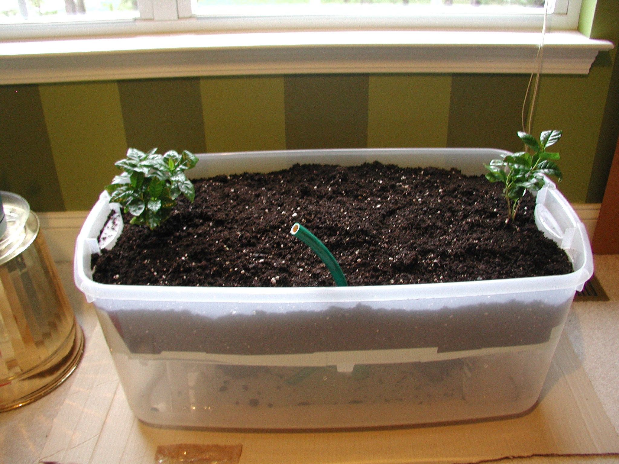 Another Ez Cheap Earth-filled Box (without PVC!) : 3 Steps (with ...