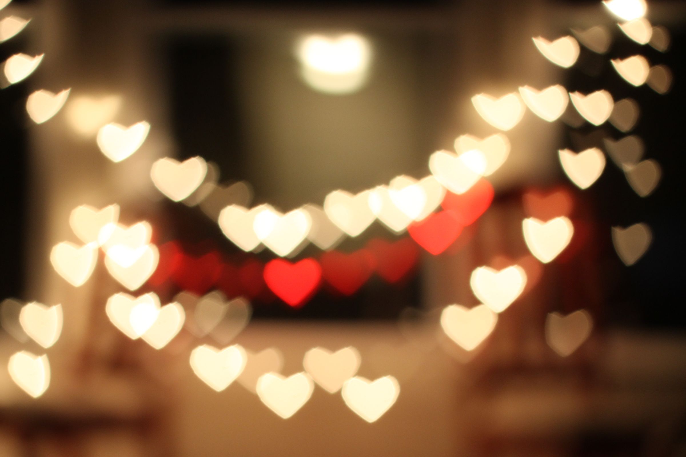 Bokeh Kit : 9 Steps (with Pictures) - Instructables