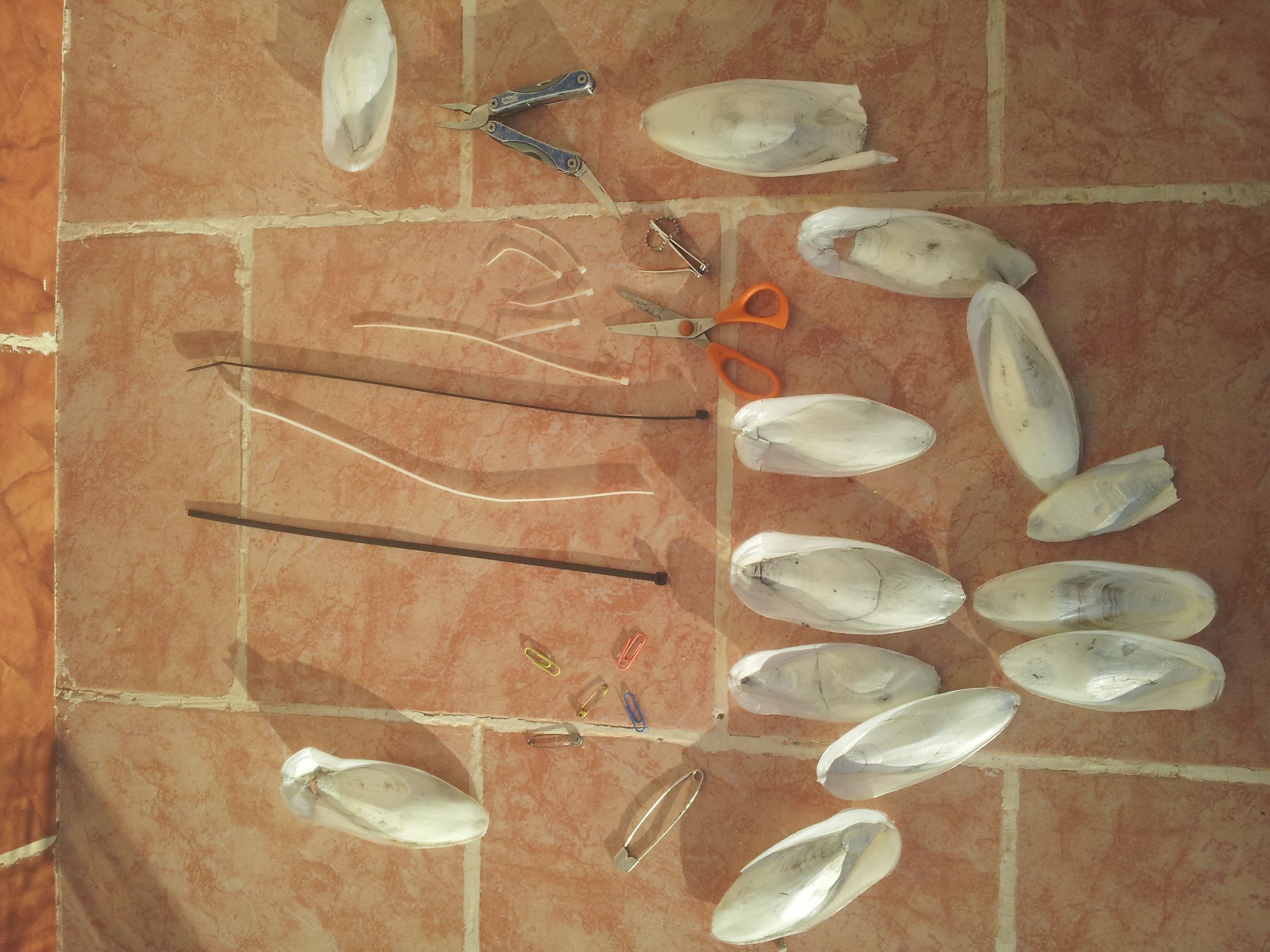 Zip Tie Cuttlebone Holder for Birds : 6 Steps - Instructables