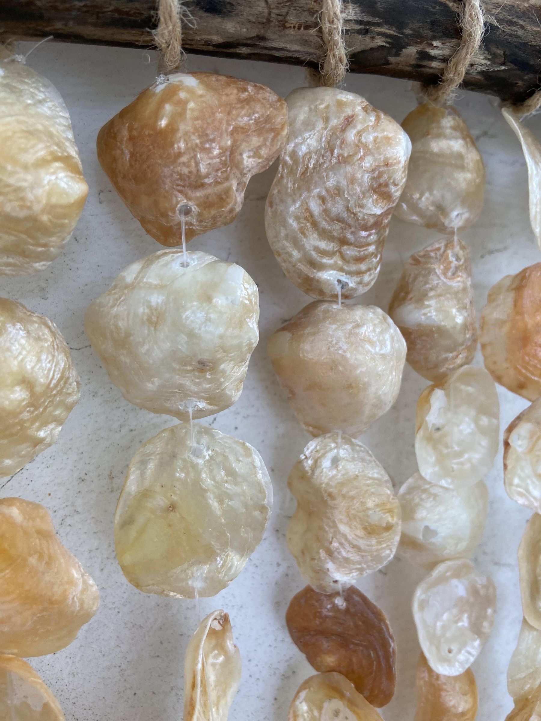 Seashell Wall Hanging : 6 Steps (with Pictures) - Instructables