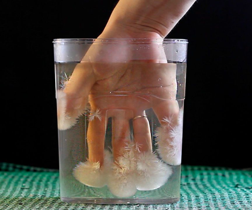 HOT ICE (with Pictures) - Instructables