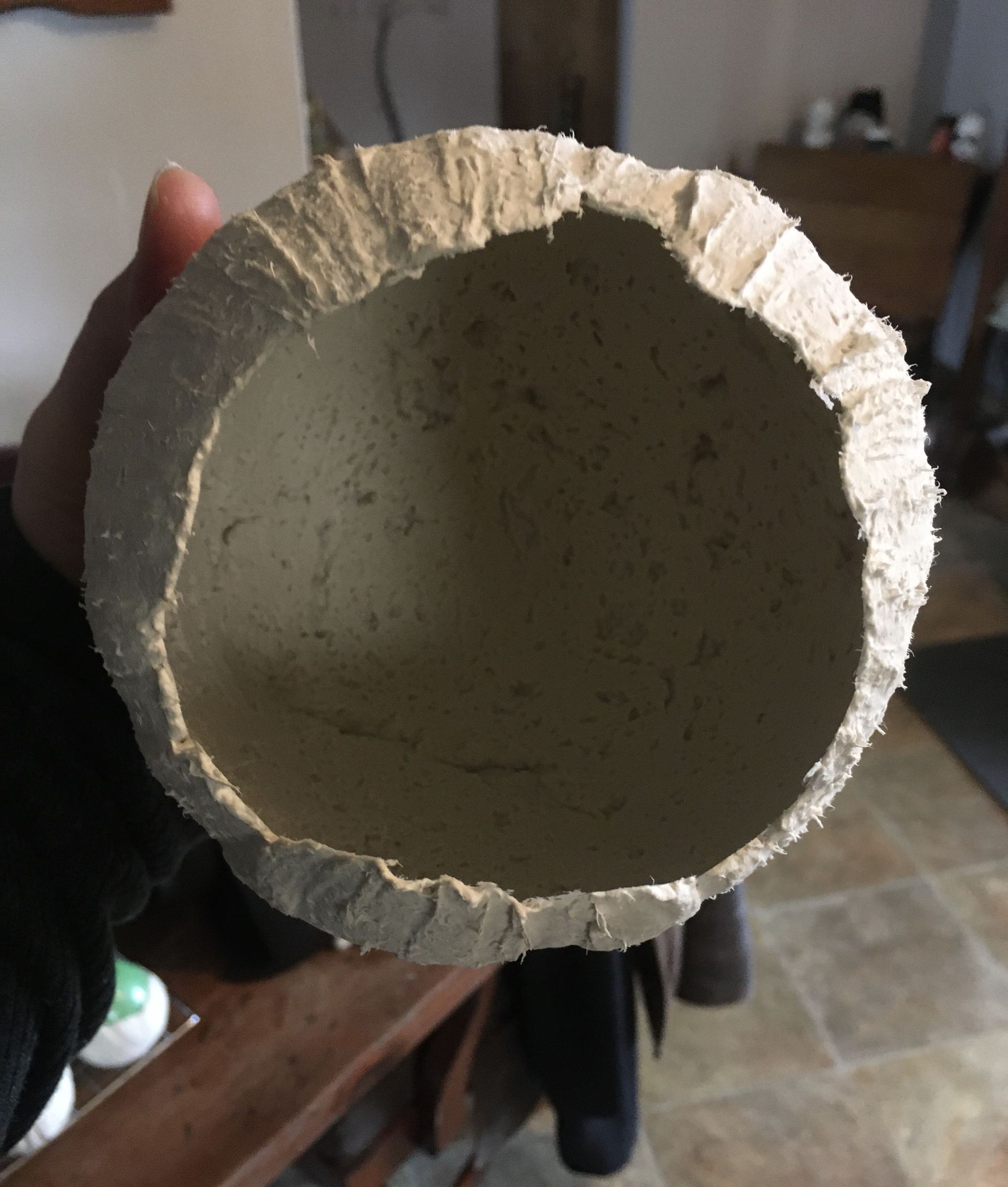 Barnacle Sculptures--and an Experiment With 2 Kinds of Homemade Paper ...